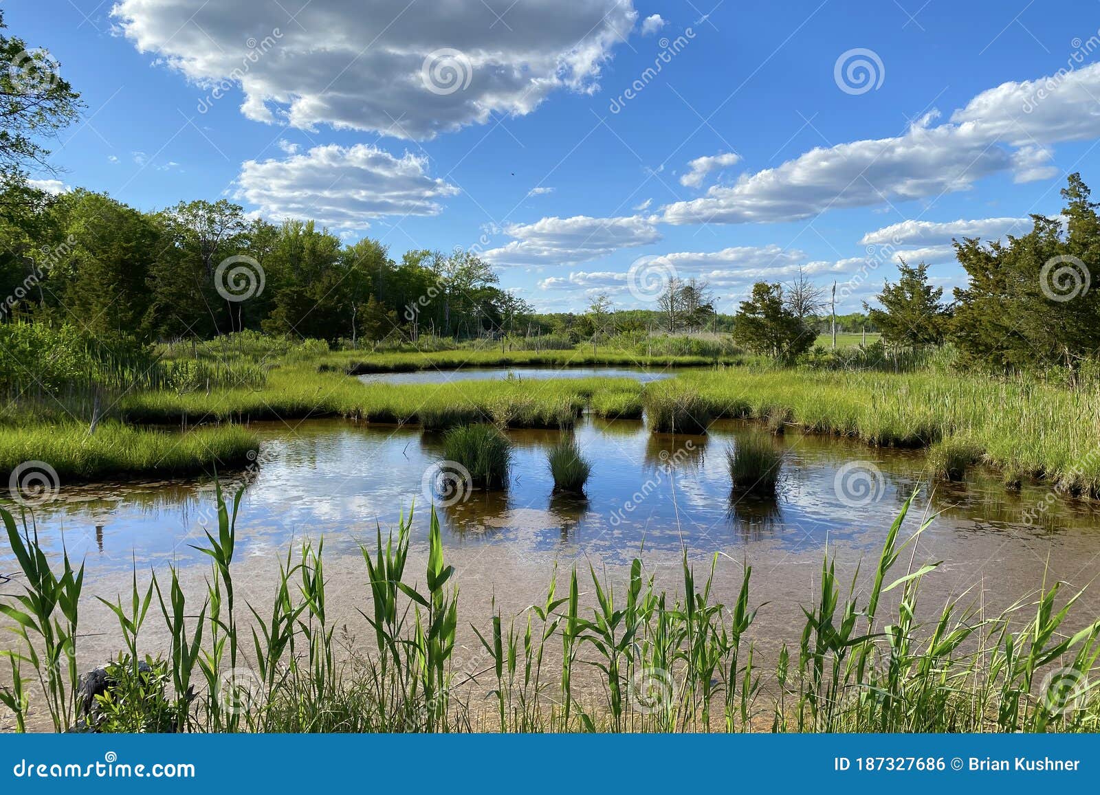 Beautiful Sky and Clouds Overlooking a Pond Stock Photo - Image of blue ...