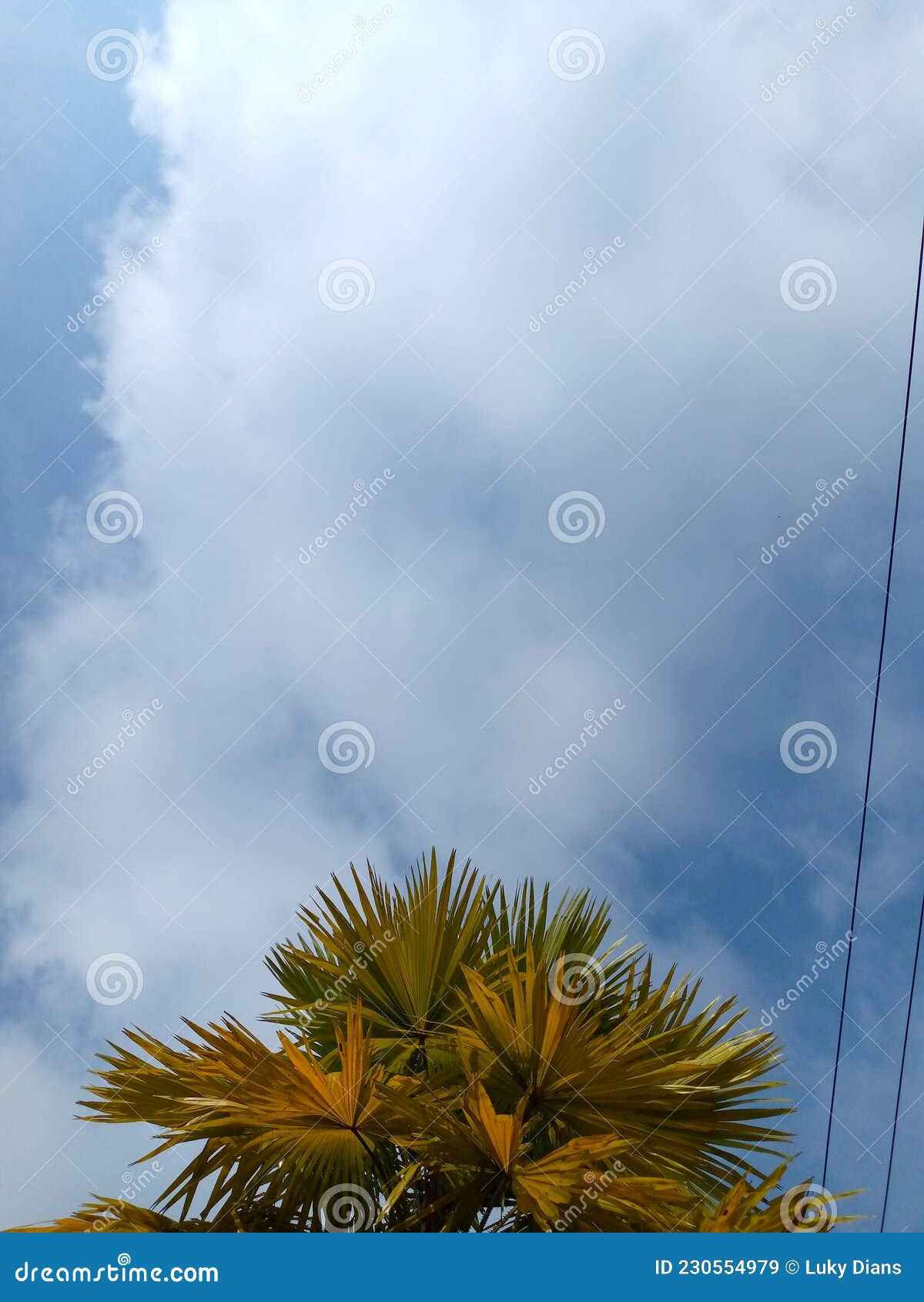 Beautiful Sky on a Beautiful Day Stock Image - Image of sunlight, tree ...
