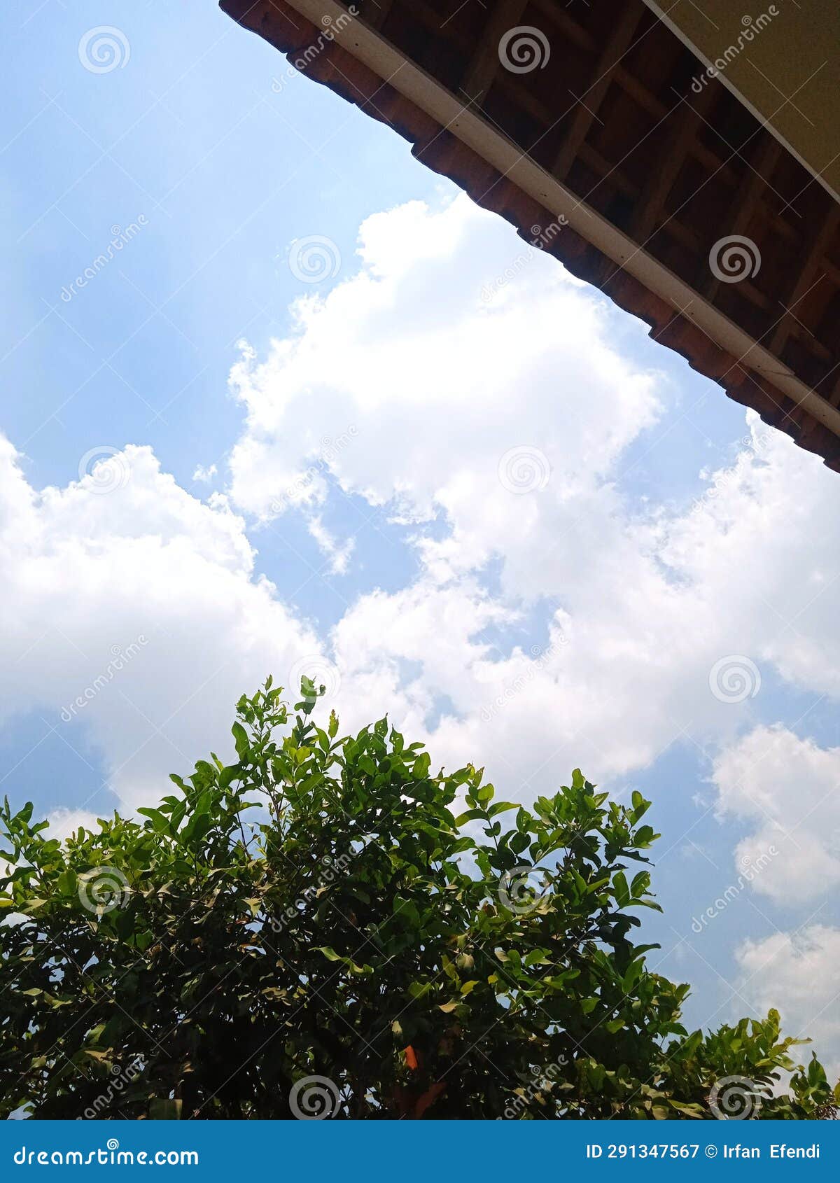 Beautiful Sky during the Day Stock Image - Image of tree, sunlight ...