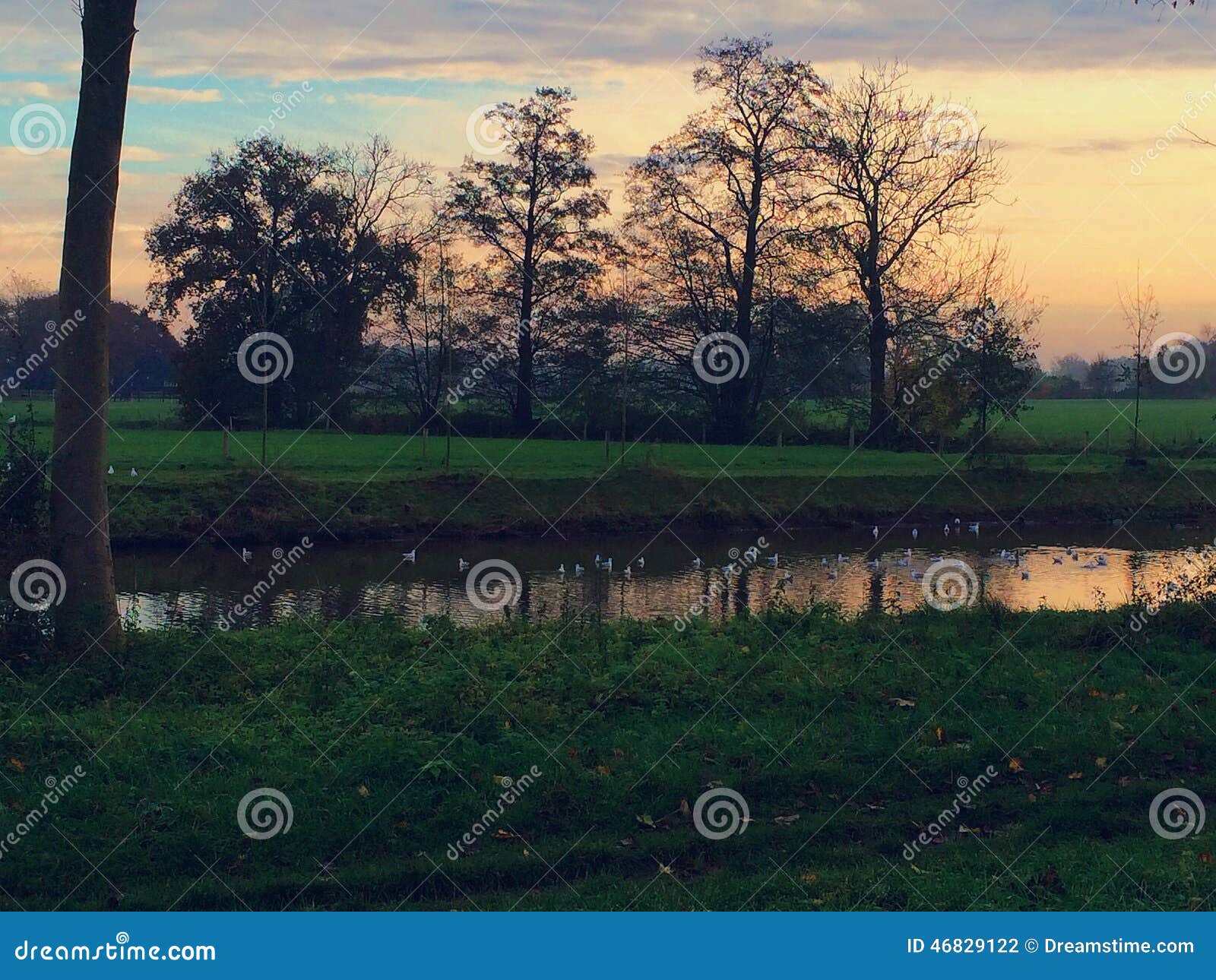 Beautiful Sky on a Early Morning Stock Photo - Image of clouds, tree ...