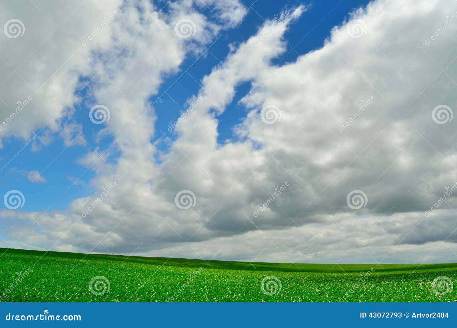 Beautiful Sky and Green Feild Stock Image - Image of landscape ...