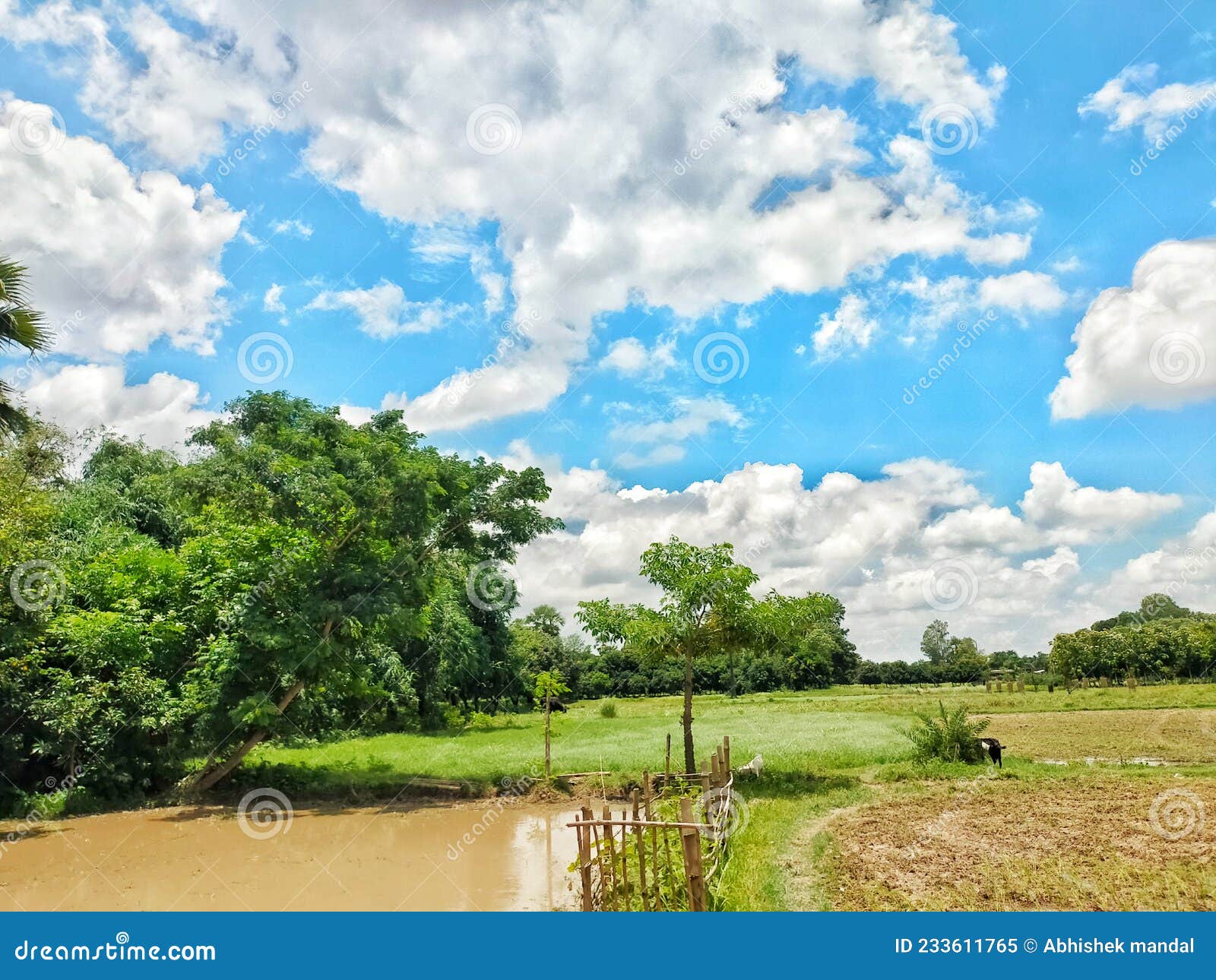 Beautiful Sky Natural Field Wonderful Stock Image - Image of wond ...