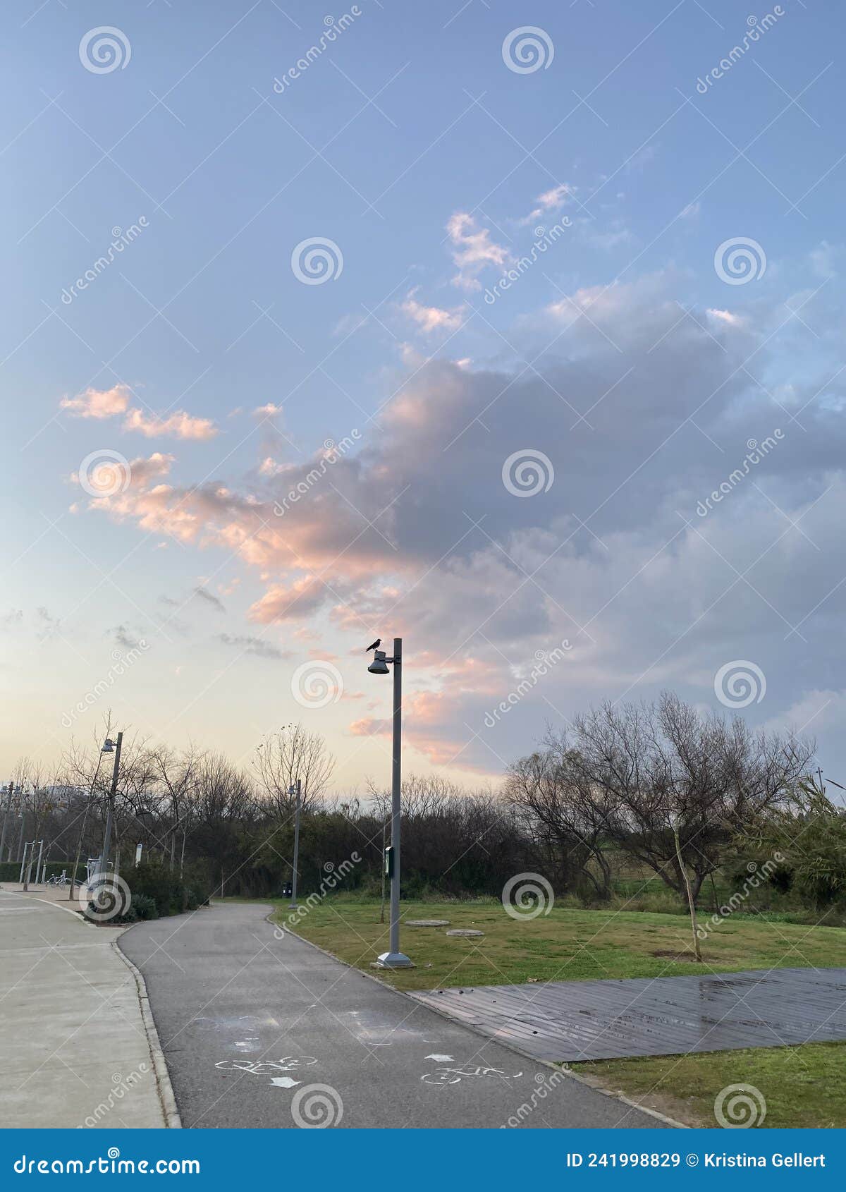 Cool view in the park stock image. Image of evening - 241998829