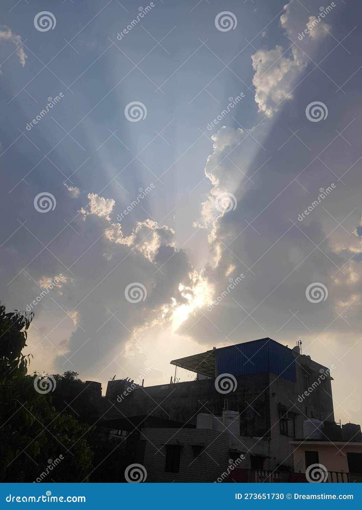 Beautiful sky pics stock photo. Image of black, branch - 273651730