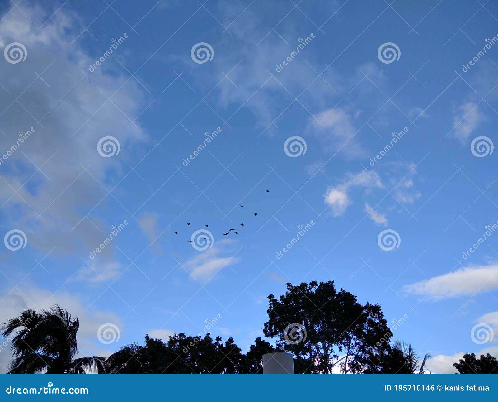 Beautiful Sky Scenery with Trees and Bird Stock Photo - Image of nature ...