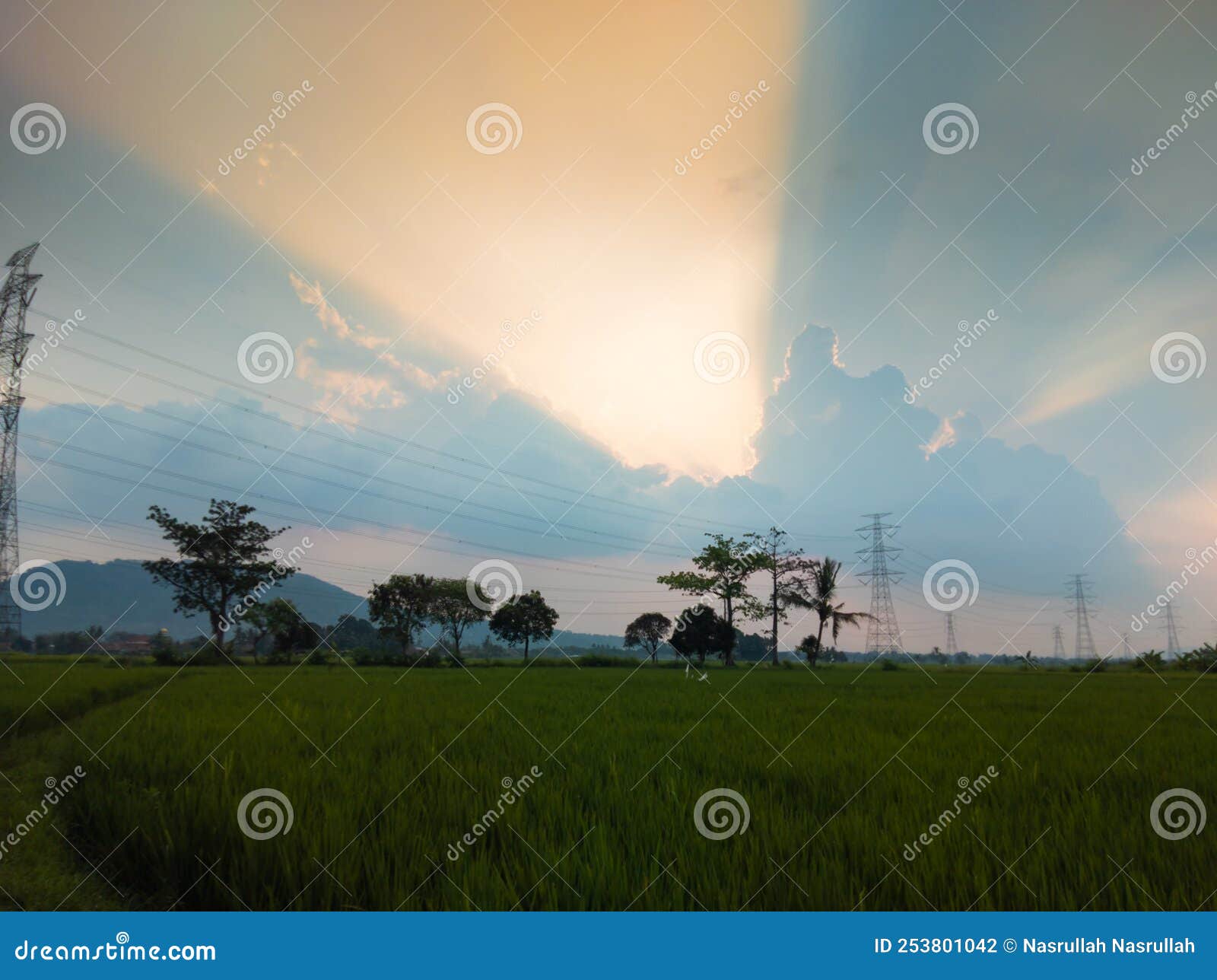 Beautiful Sky View in the Afternoon Stock Photo - Image of tree, green ...