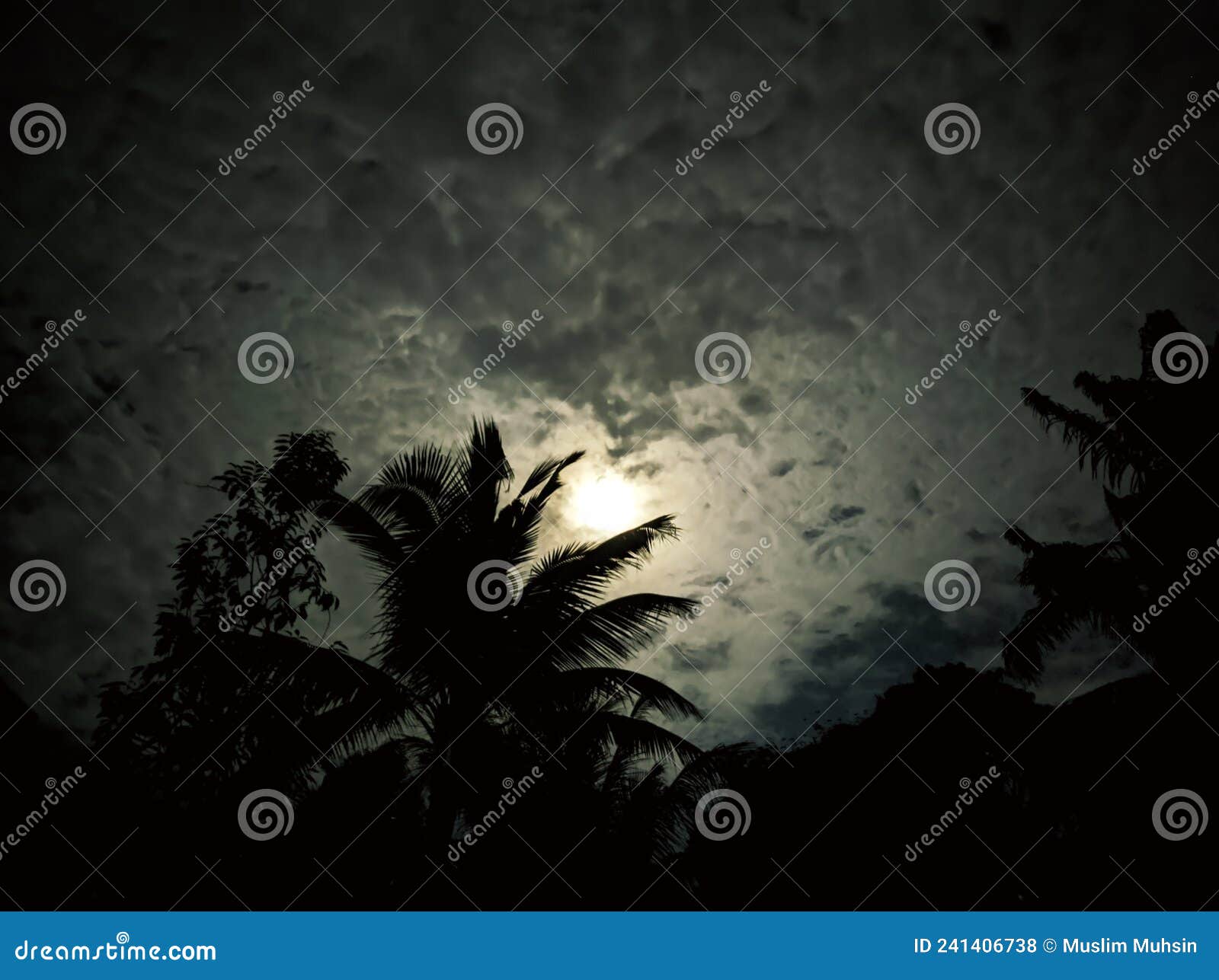 Beautiful Sky View at Night Stock Photo - Image of scenery, night ...