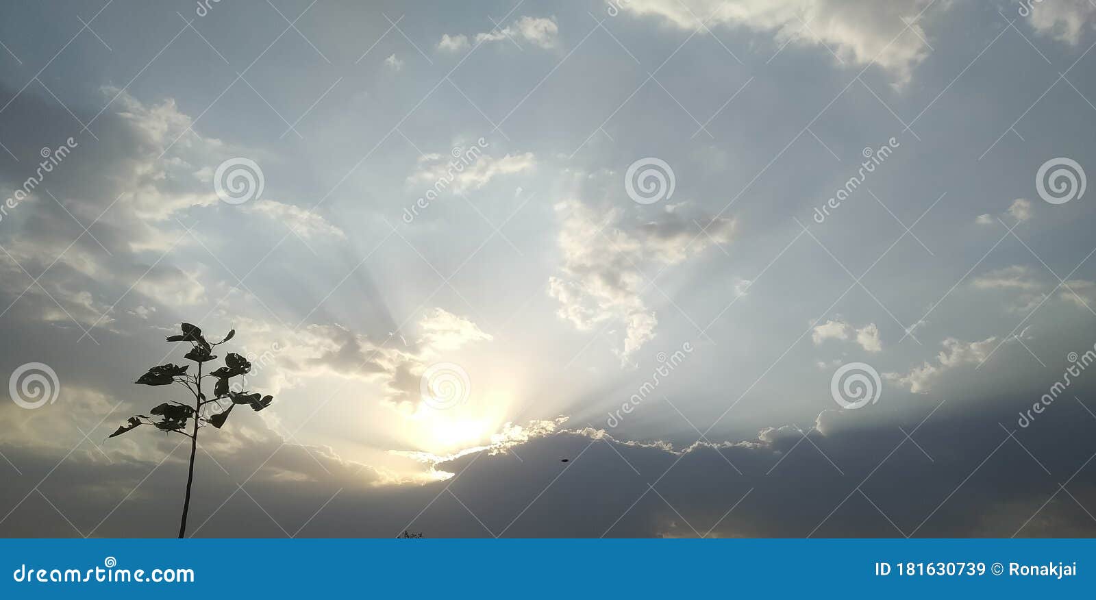 Beautiful Sky View with Tree, Scenery Stock Image - Image of scenery ...