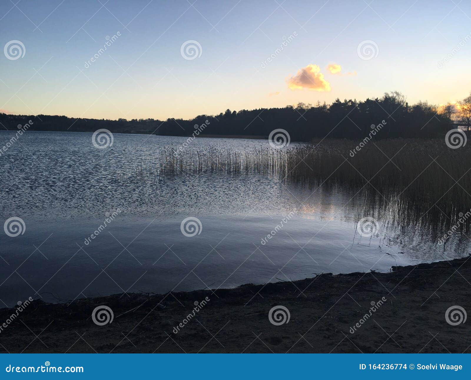 Skylight, Beautiful and Unique and Colorful Stock Photo - Image of ...
