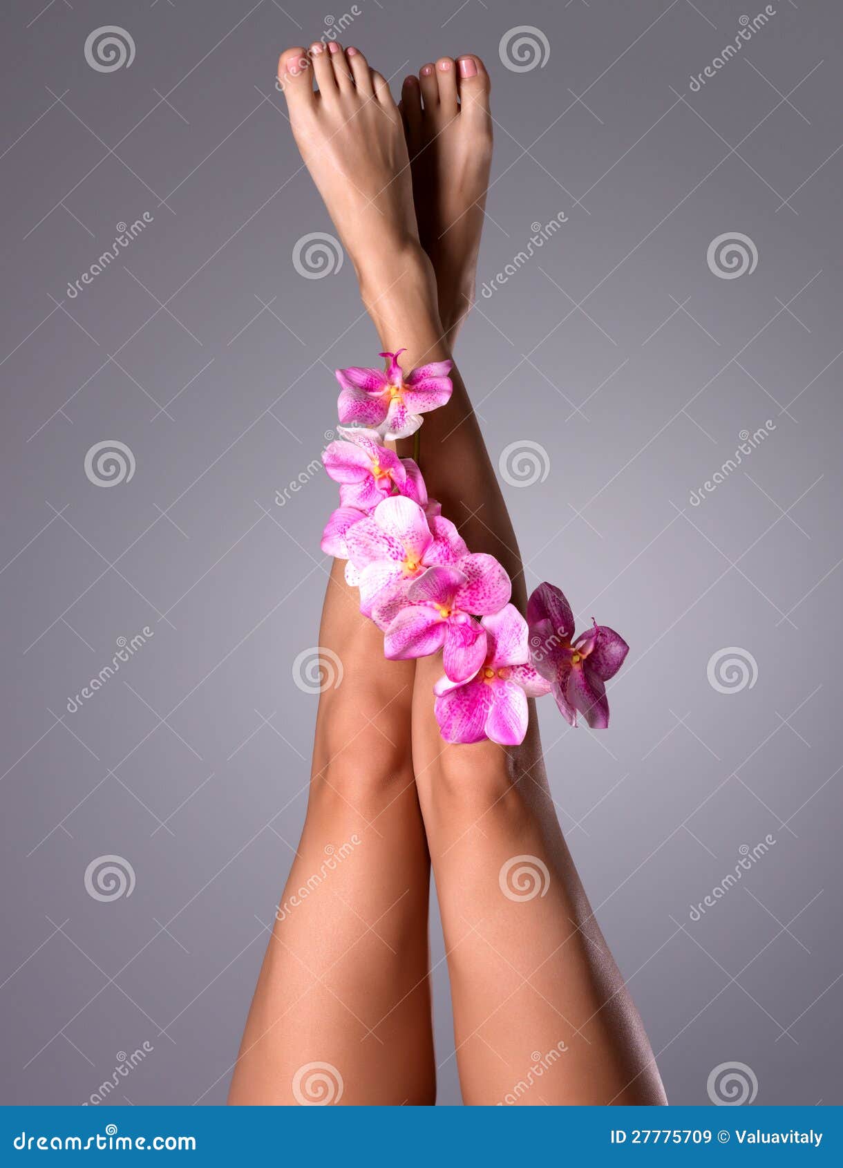 Beautiful Slender Female Legs with Flower Stock Image - Image of foot ...