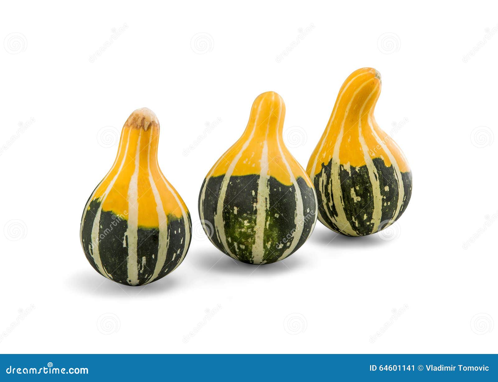 Beautiful Small Decorative Pumpkins Isolated on White with Clipping ...