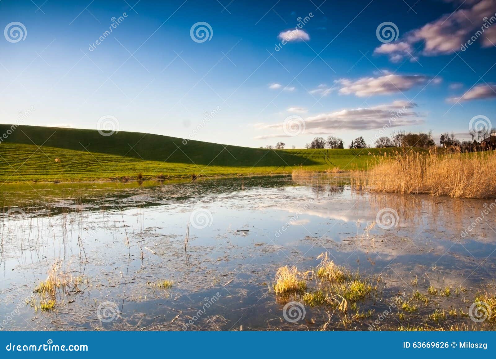 Beautiful small lake stock photo. Image of urban, cloudscape - 63669626
