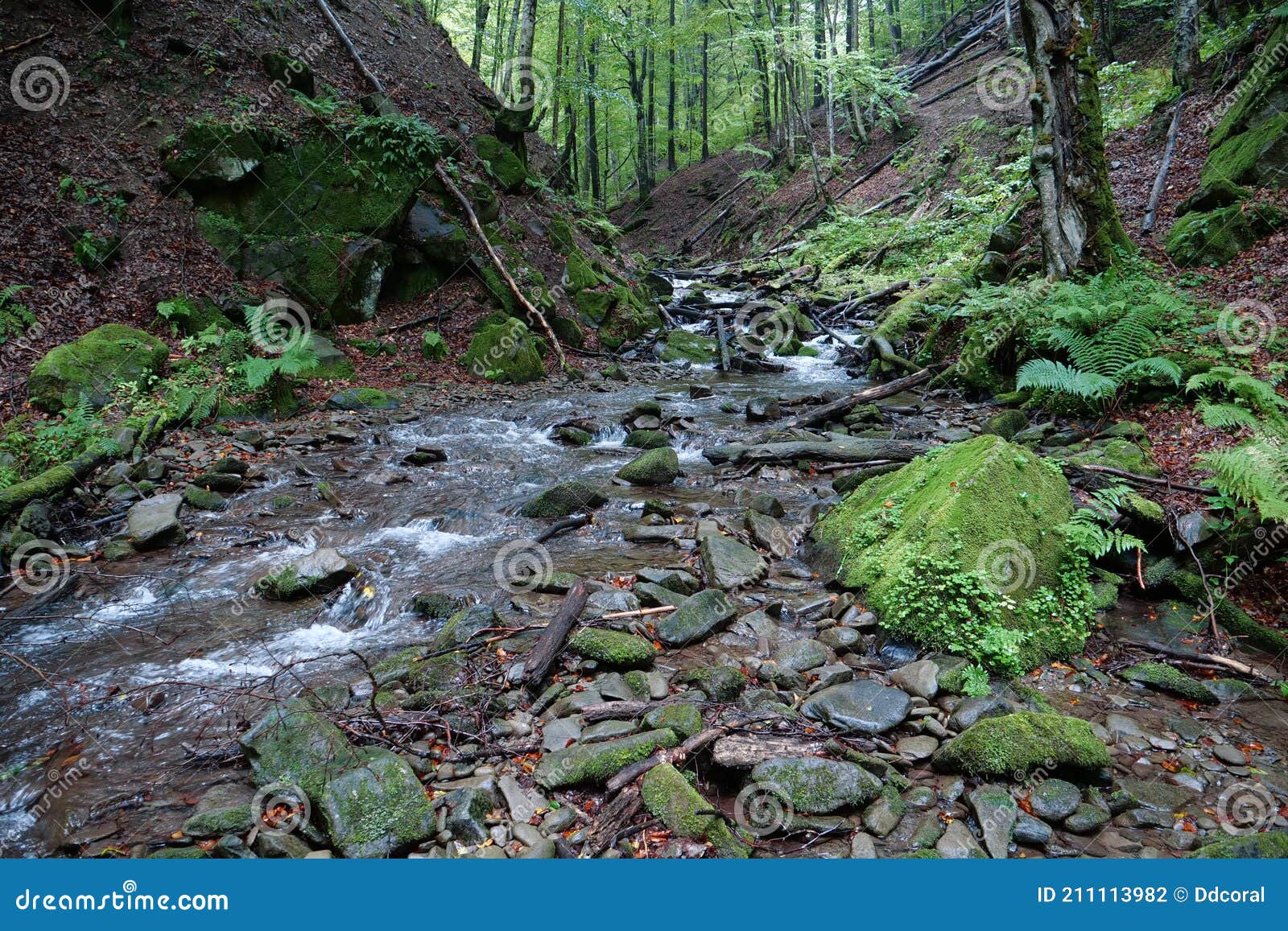 Beautiful Small River in Mountains Stock Photo - Image of felling ...