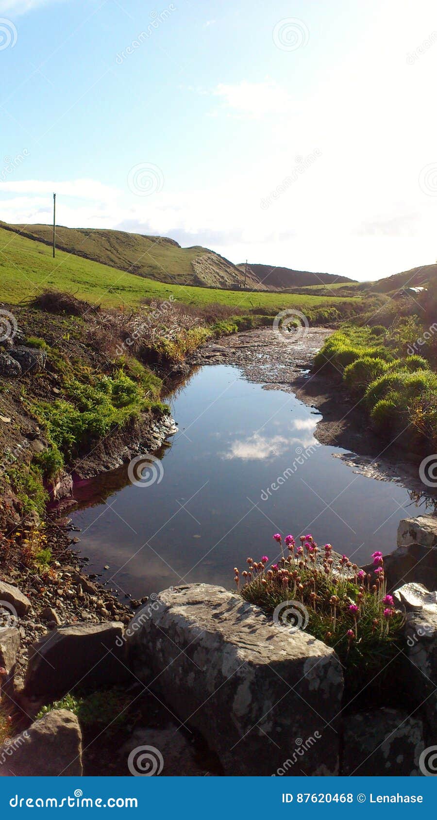 Beautiful Small River Near the Cliffs of Moher in Ireland Stock Photo ...