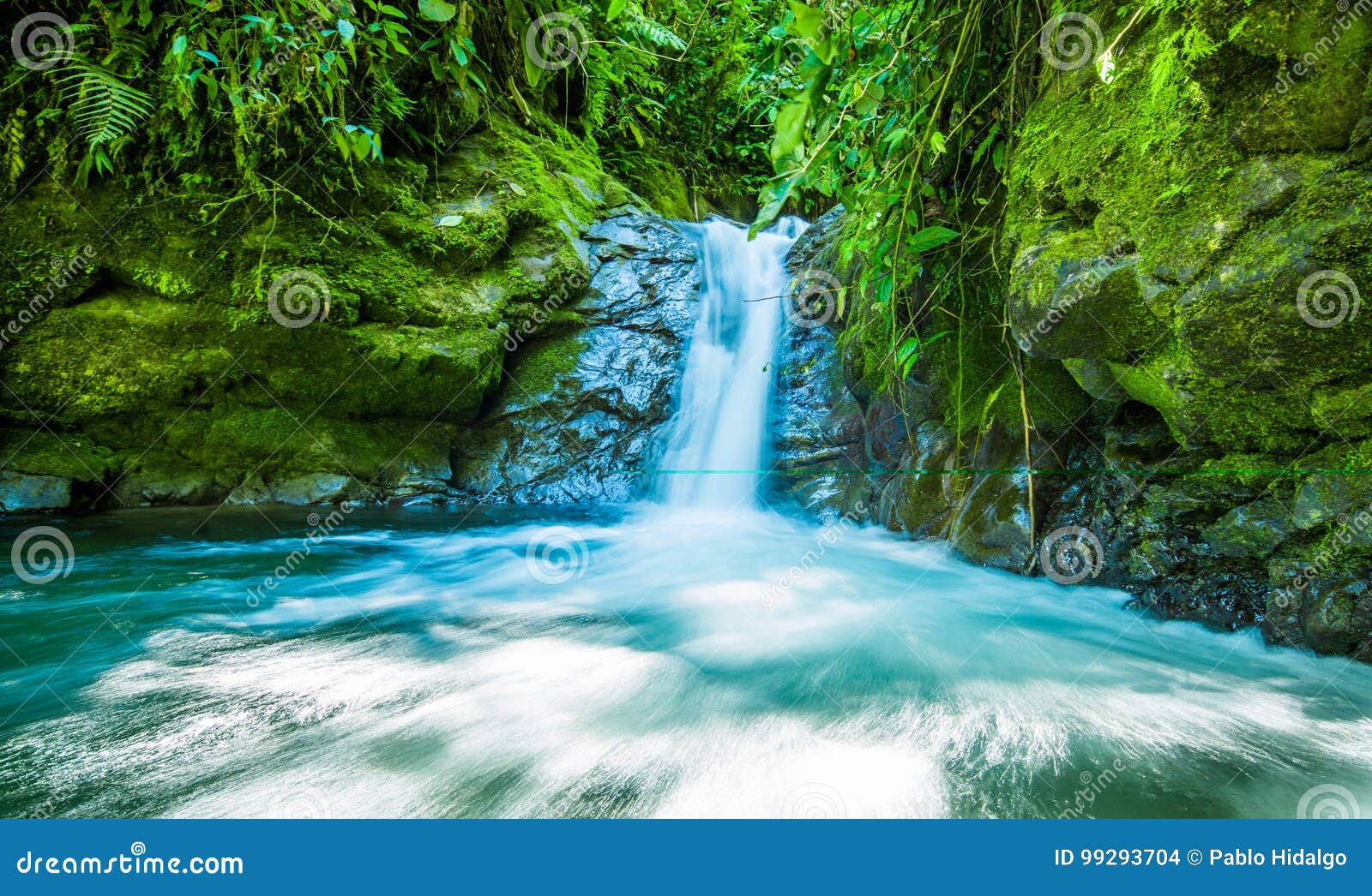 Beautiful Small Waterfall Located Inside of a Green Forest with Stones ...