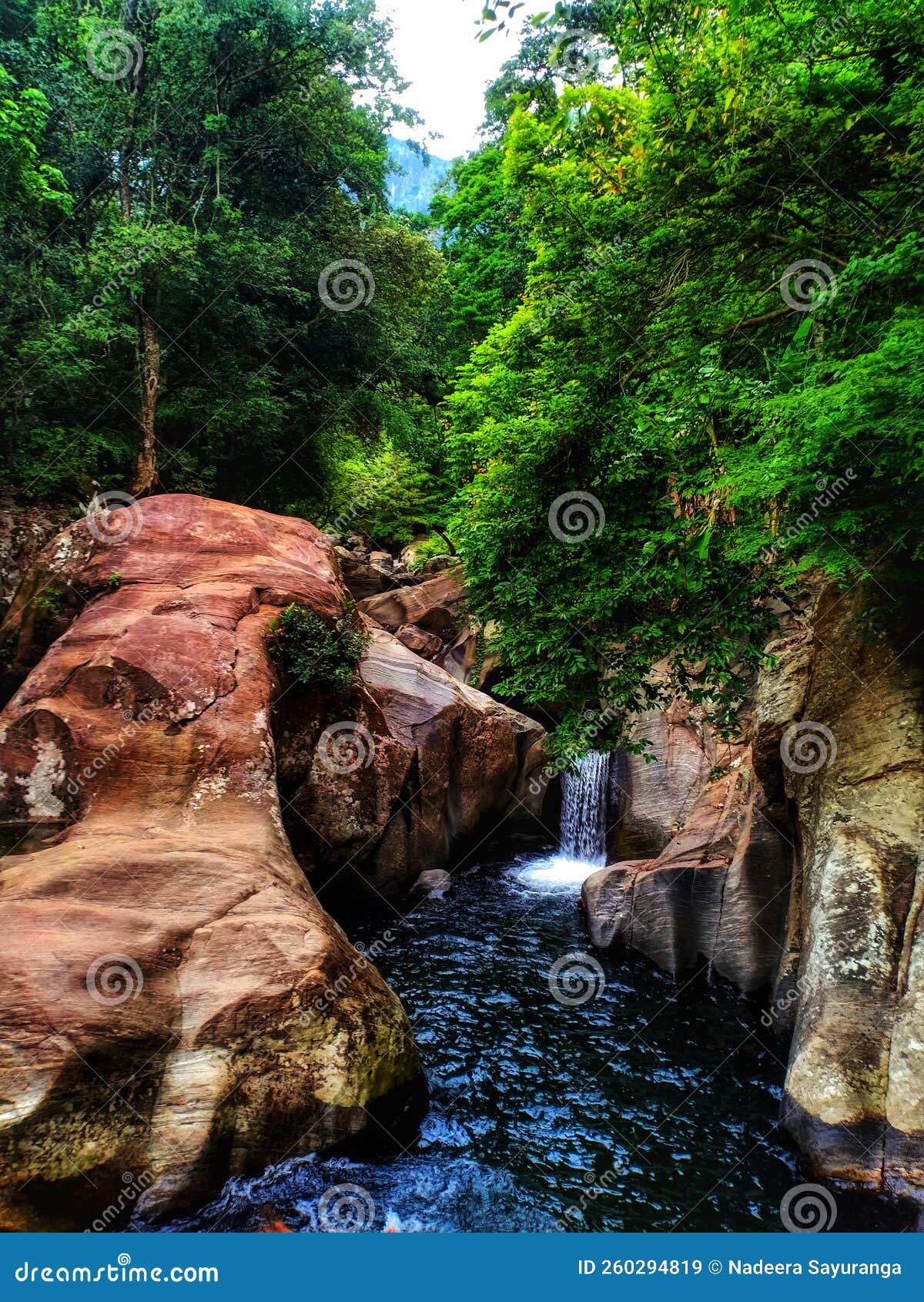 A Beautiful Small Waterfall in the Middle of a Forest Stock Image ...