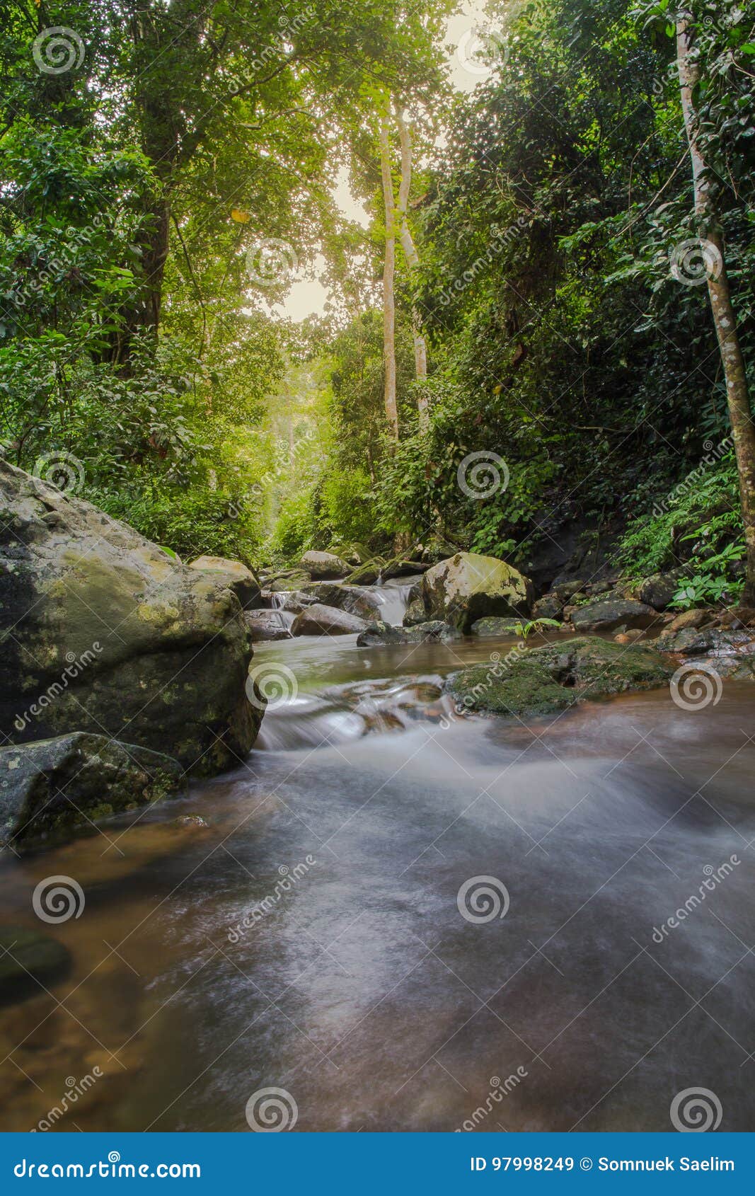 Beautiful Small Waterfall in the Wild,nature Stock Image - Image of ...