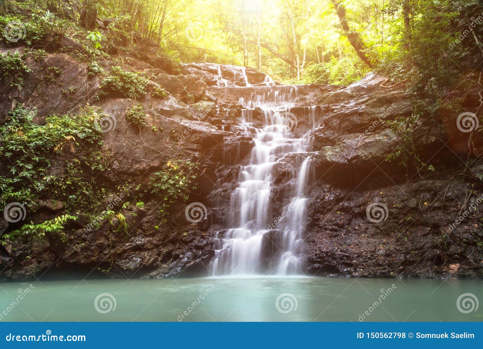 Beautiful Small Waterfall In The Wild With Sun Light,nature Picture ...