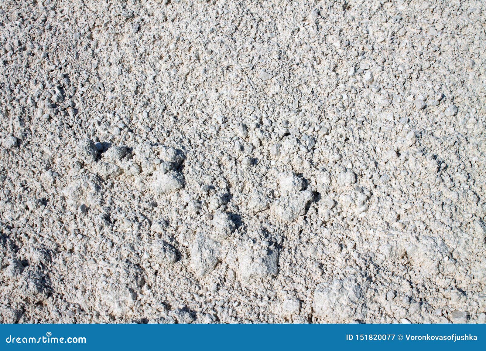 Texture of White Granular Mixture Close-up Stock Image - Image of plan ...