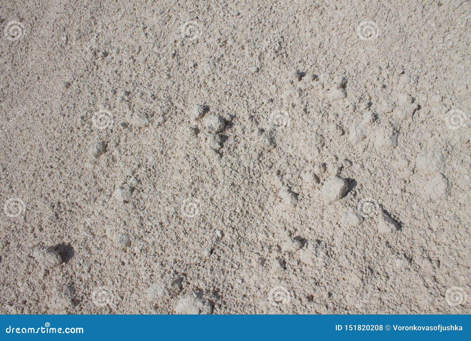 Texture of White Granular Mixture Close-up Stock Photo - Image of ...