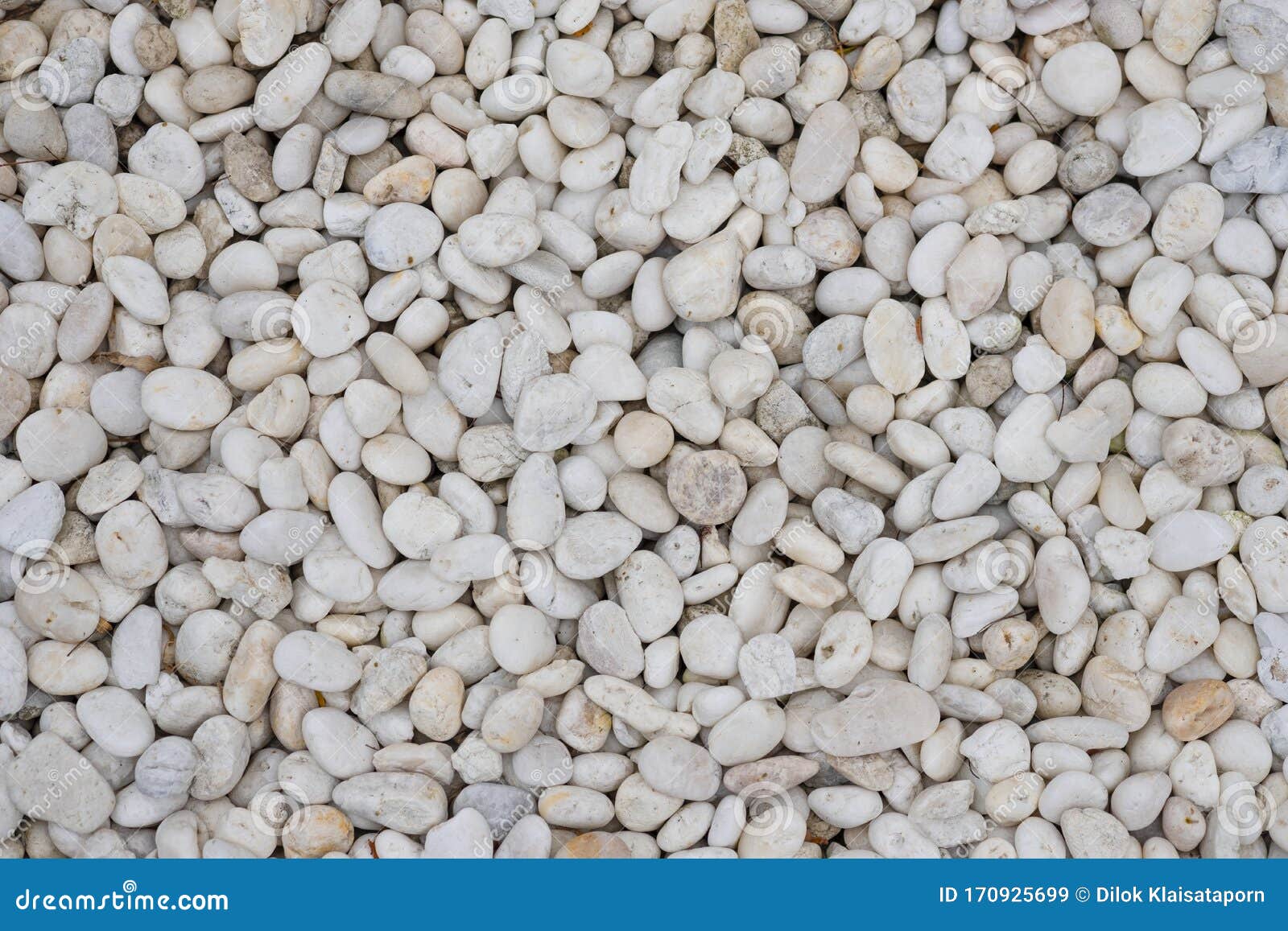 Beautiful Smooth White Pebbles for Background and Texture. Stock Image ...