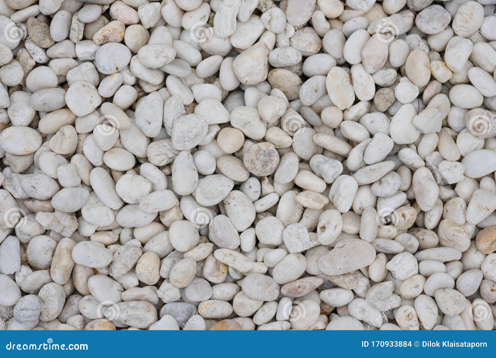 Beautiful Smooth White Pebbles for Background and Texture. Stock Photo ...