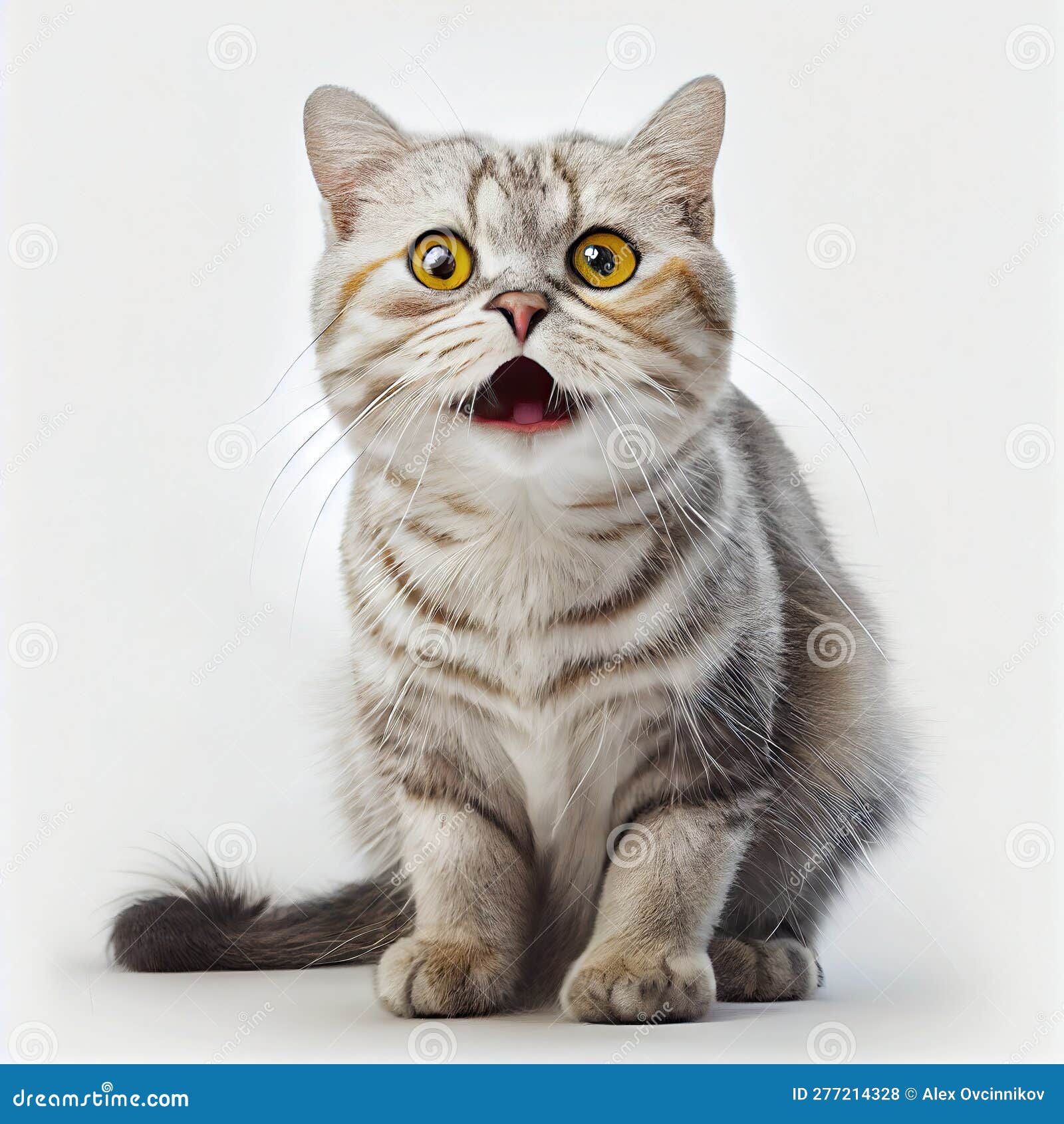 Beautiful Snake on White Background for Posters and Web Design. Stock ...