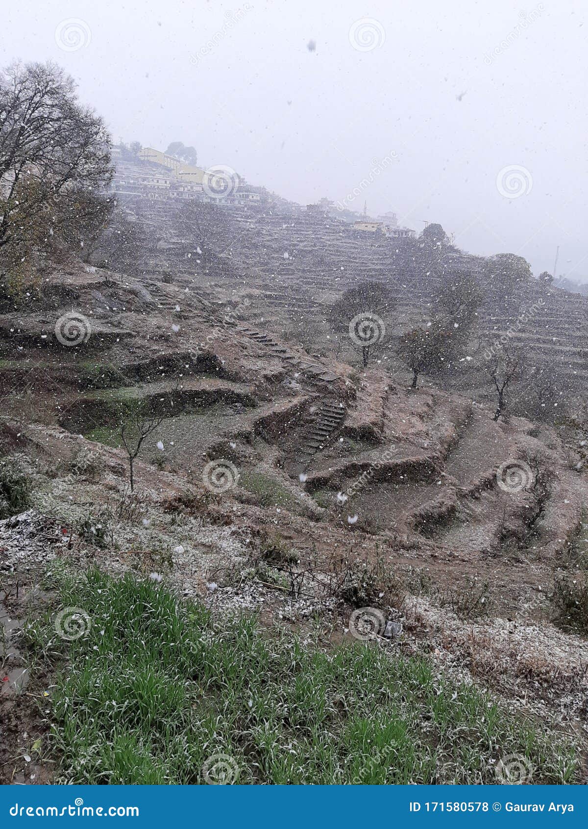 Beautiful Snow Falling View Like Cotton Falling. Stock Photo - Image of ...