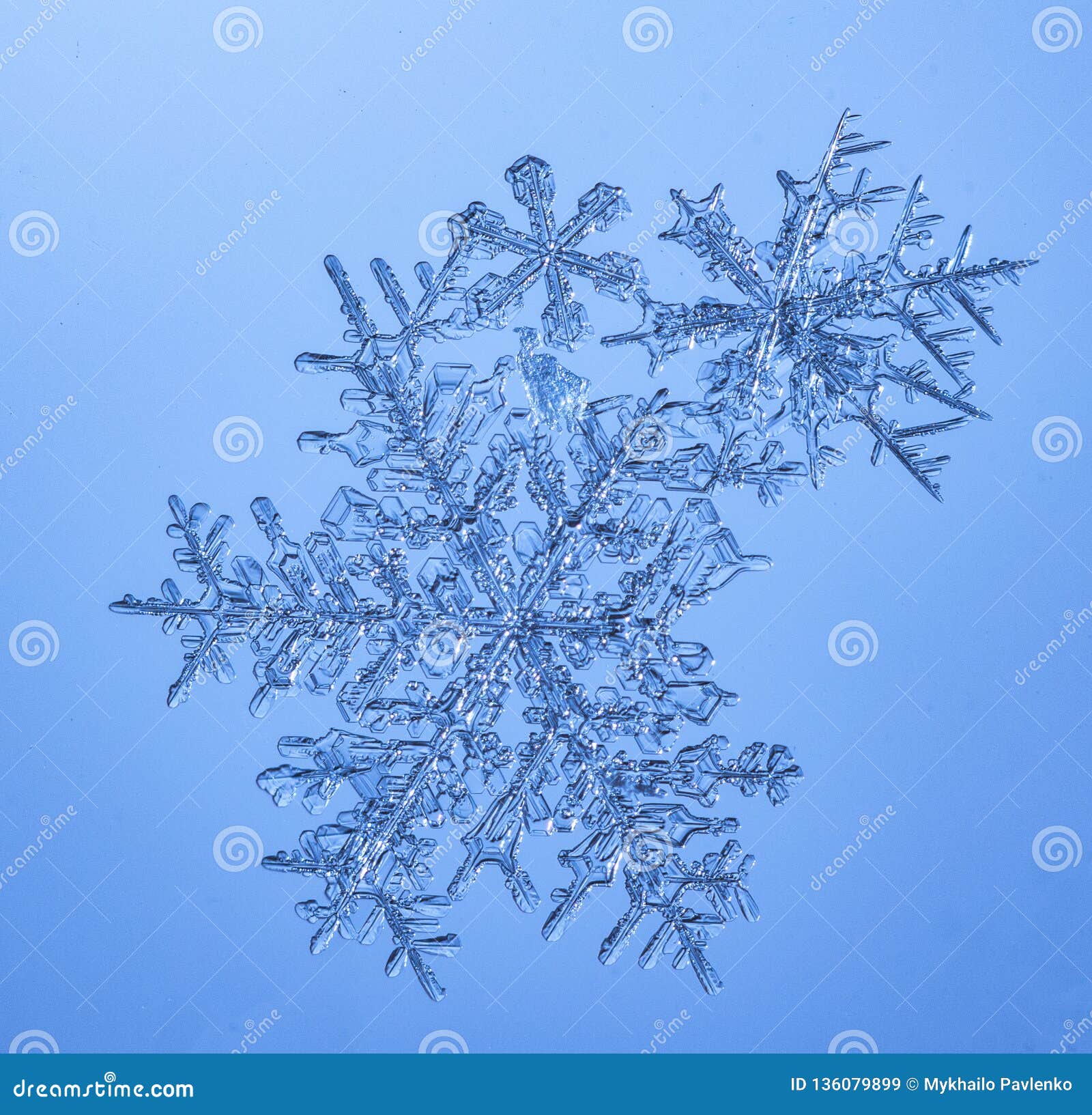 Beautiful Snow Flake on a Light Blue Background Close Up Stock Image ...