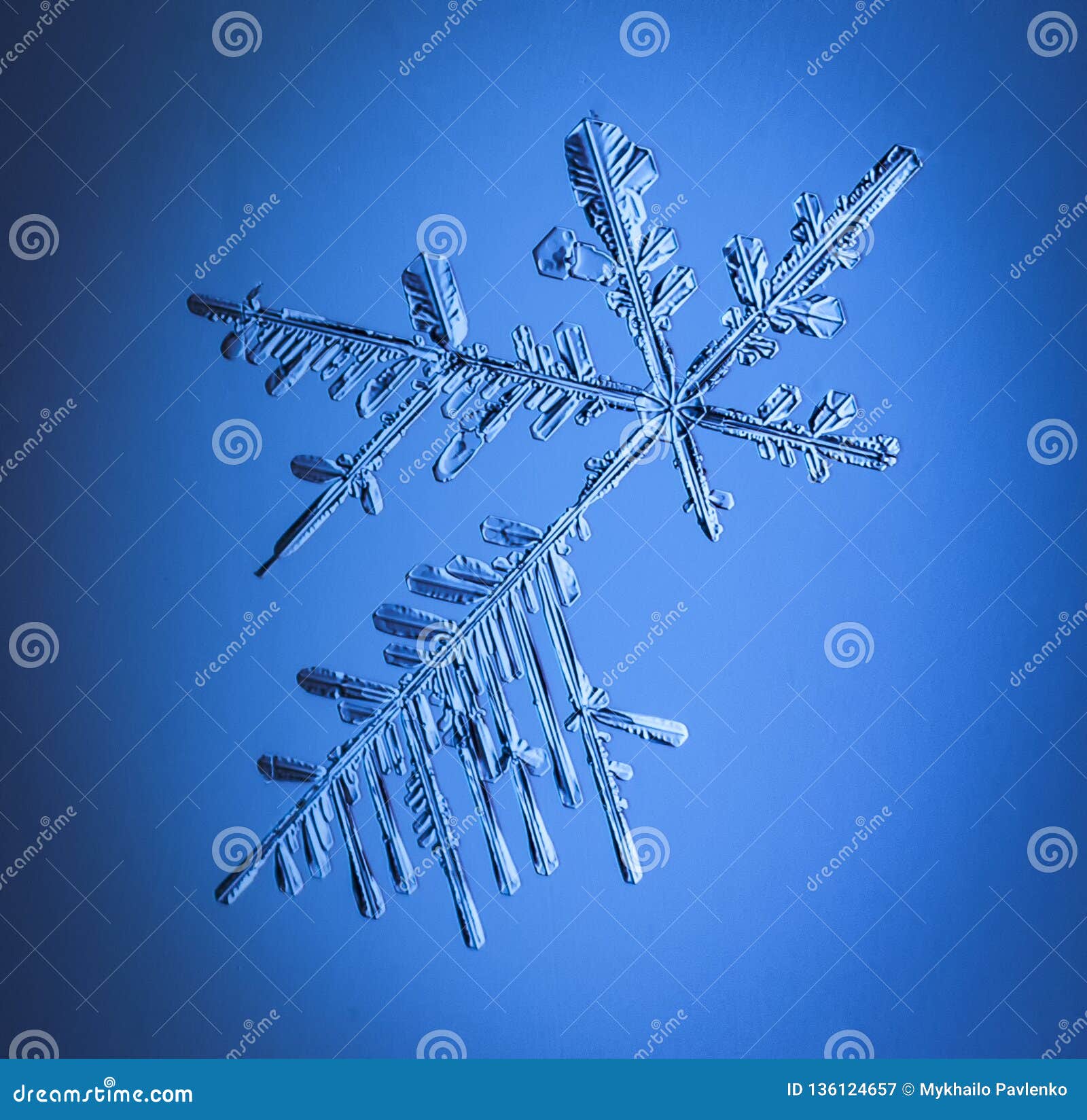 Beautiful Snow Flake on a Light Blue Background Close Up Stock Image ...