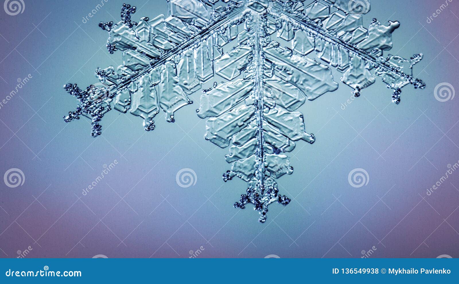Beautiful Snow Flake on a Light Blue Background Close Up Stock Photo ...