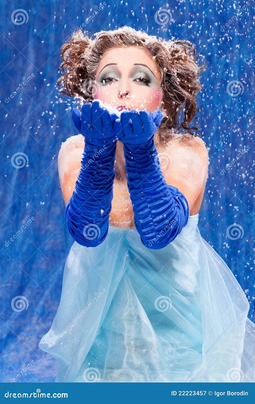 Beautiful snow queen stock image. Image of beautiful - 22223457