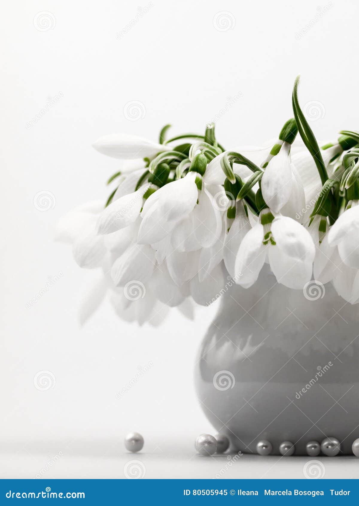 Beautiful Snowdrops in a Bouquet Stock Image - Image of growth, flower ...