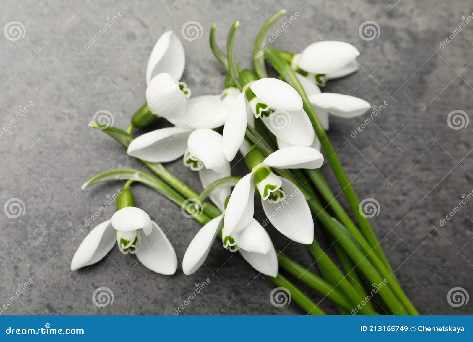 Beautiful Snowdrops on Grey Table. Spring Flowers Stock Image - Image ...