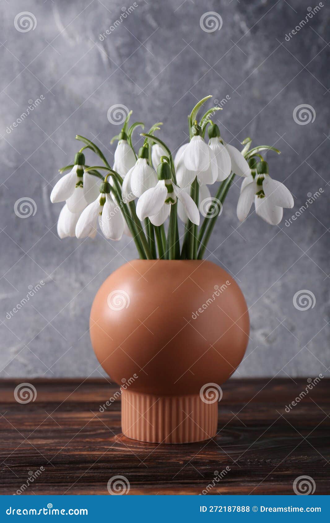 Beautiful Snowdrops in Vase on Wooden Table Stock Photo - Image of ...