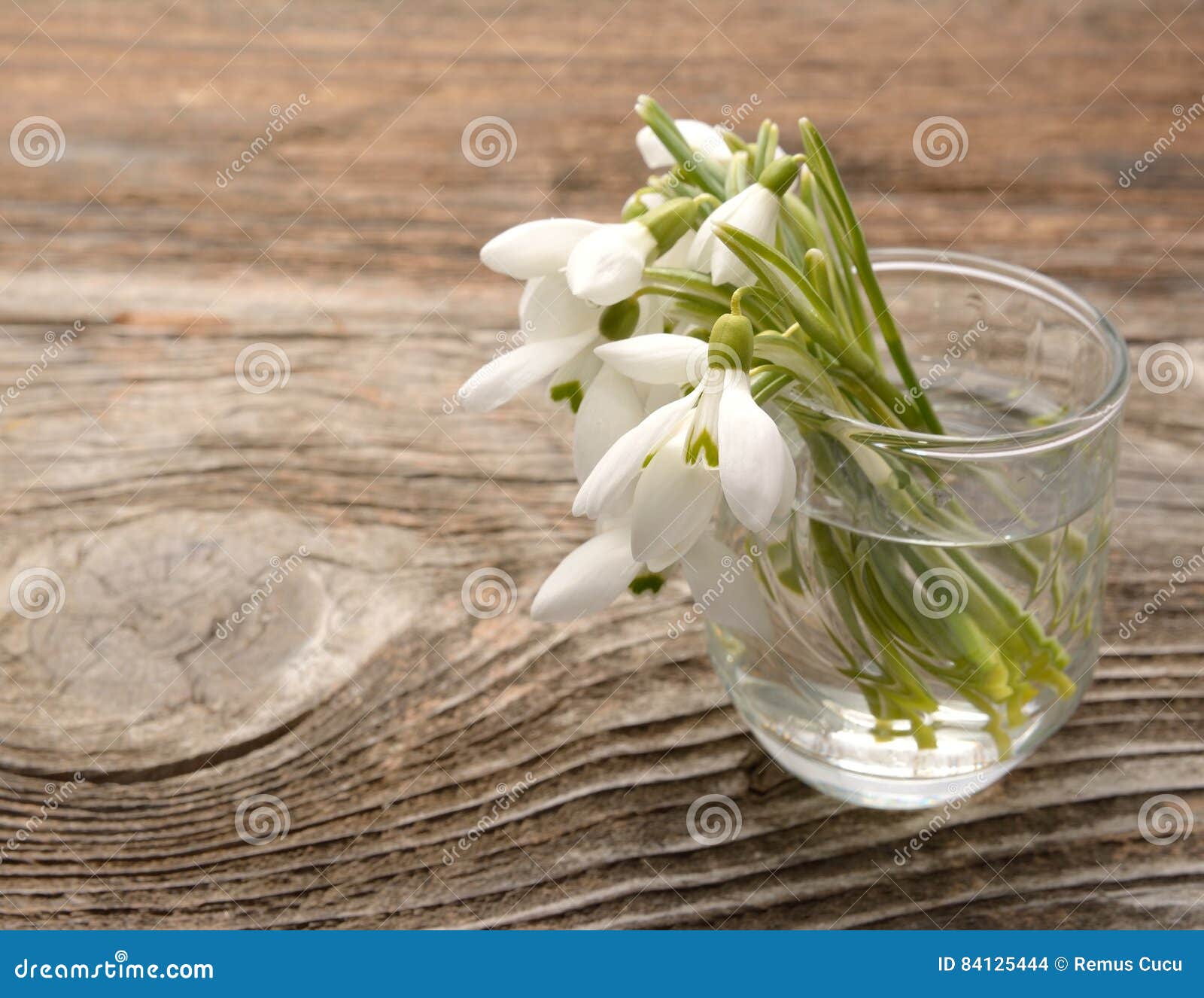 Beautiful Snowdrops in Vase on Wooden Table. Stock Photo - Image of ...