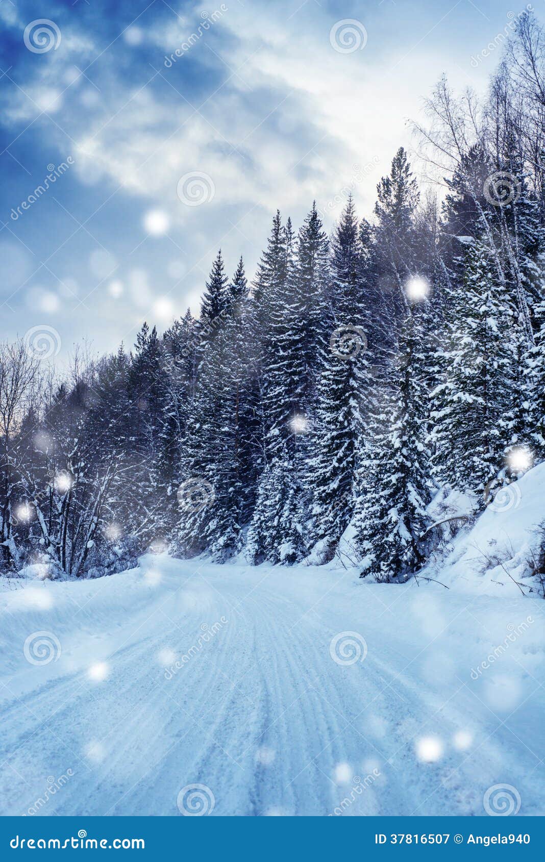 Beautiful snowstorm stock image. Image of evergreen, imagine - 37816507