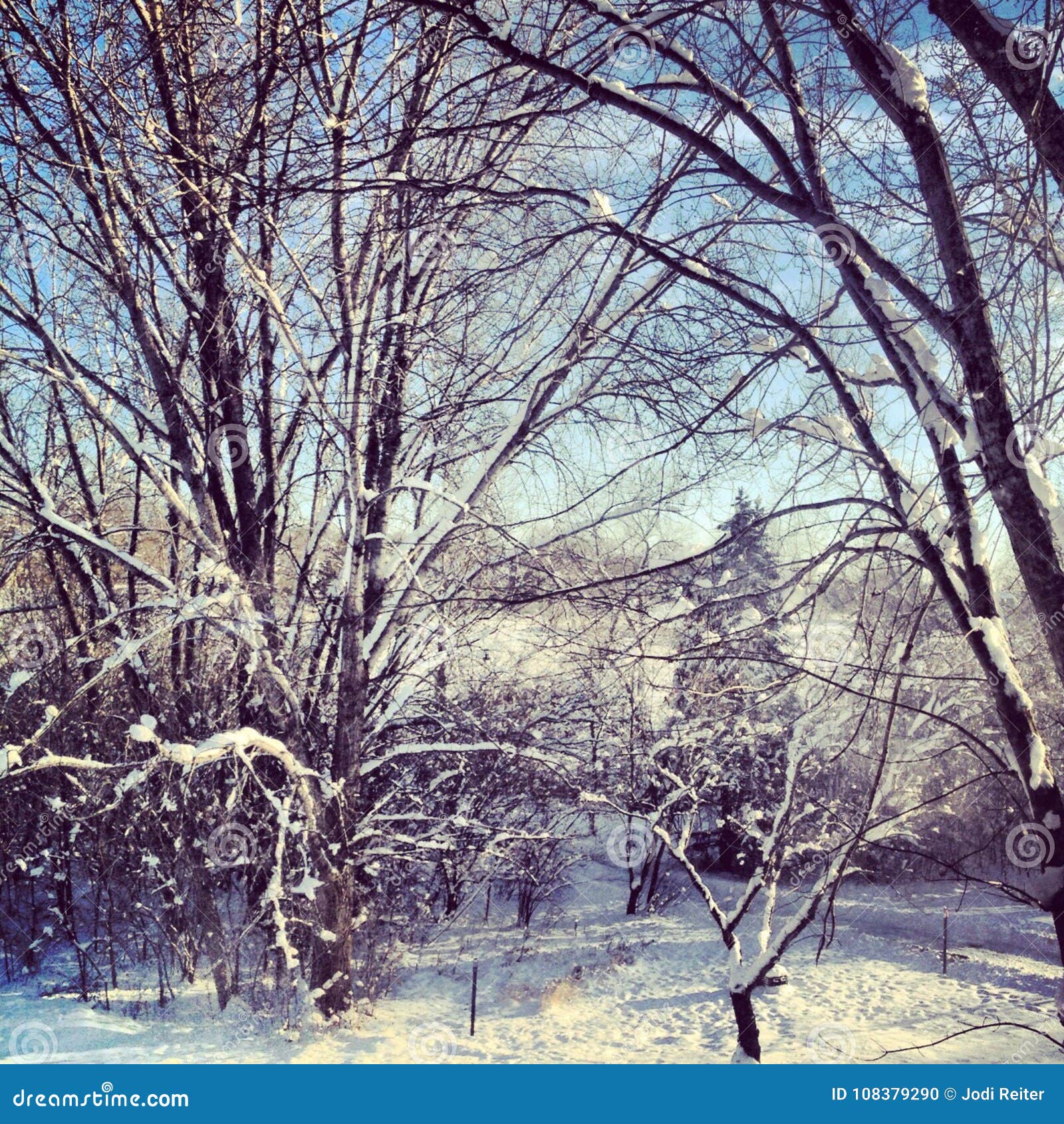 Beautiful Snowy Day stock photo. Image of cold, skies - 108379290