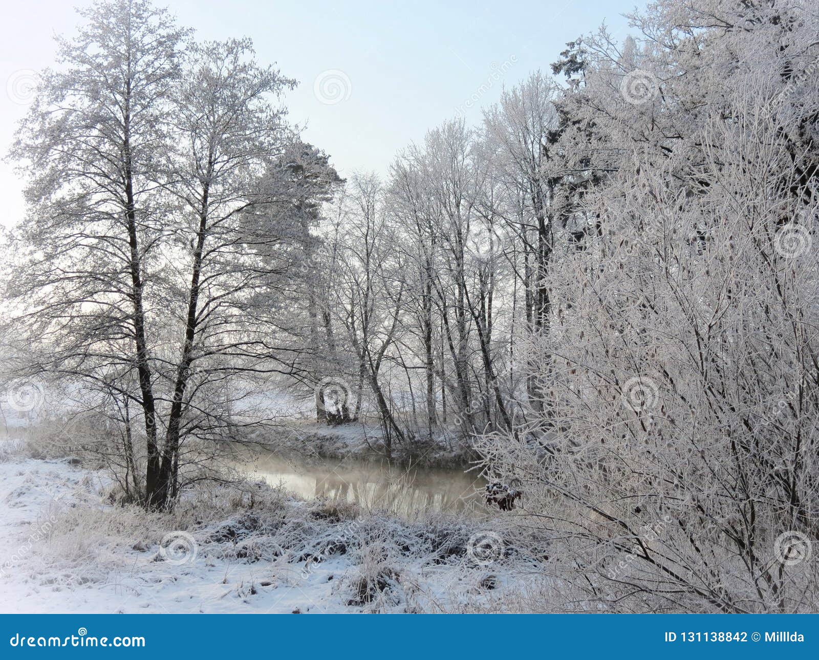 Beautiful Snowy Trees and River in Winter, Lithuania Stock Photo ...