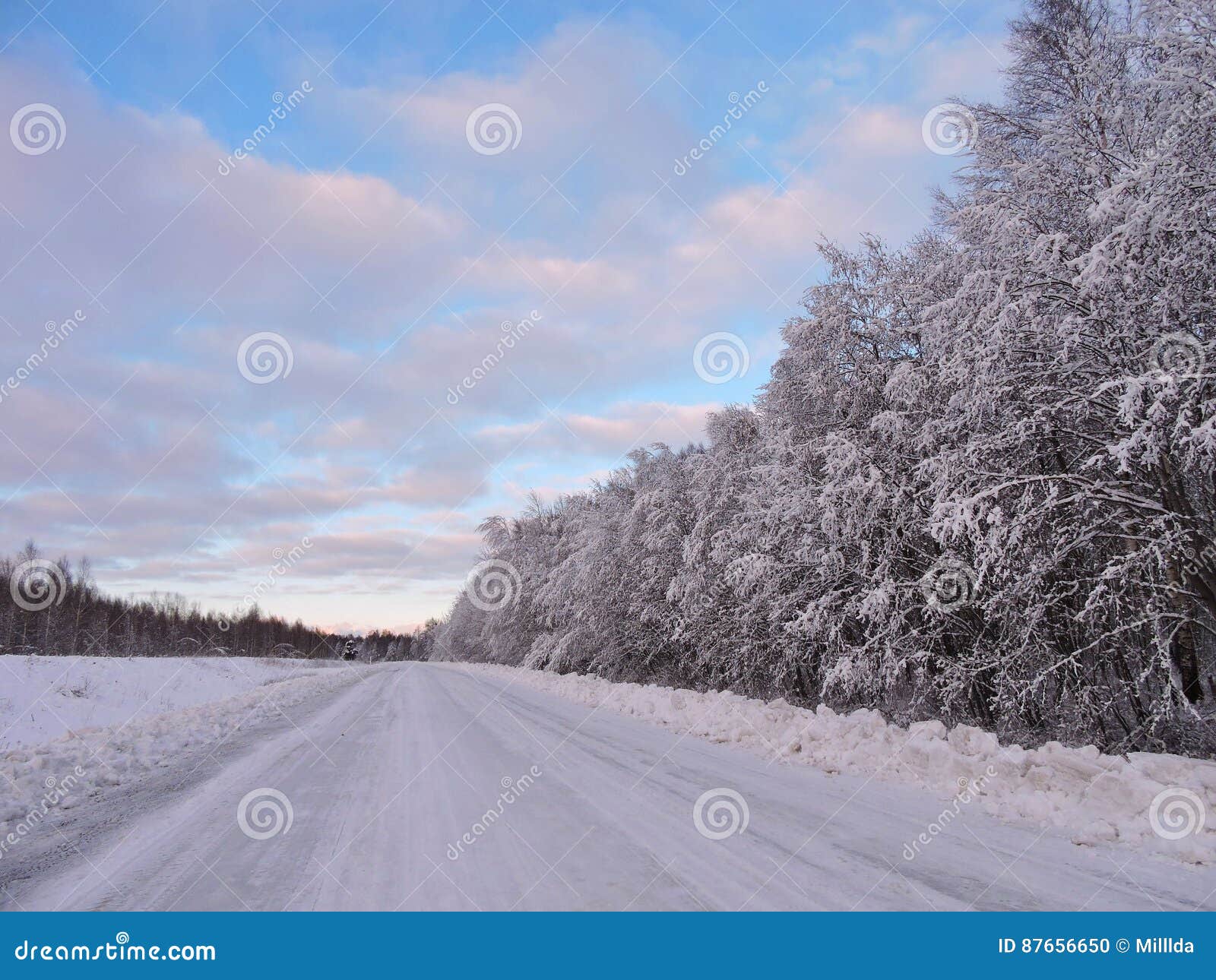 Beautiful Snowy Trees and Road , Lithuania Stock Photo - Image of tree ...