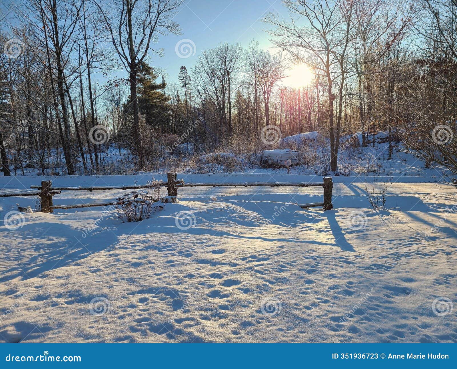 Beautiful Snowy Winter Twilight Solstice Light with Forest Stock Image ...