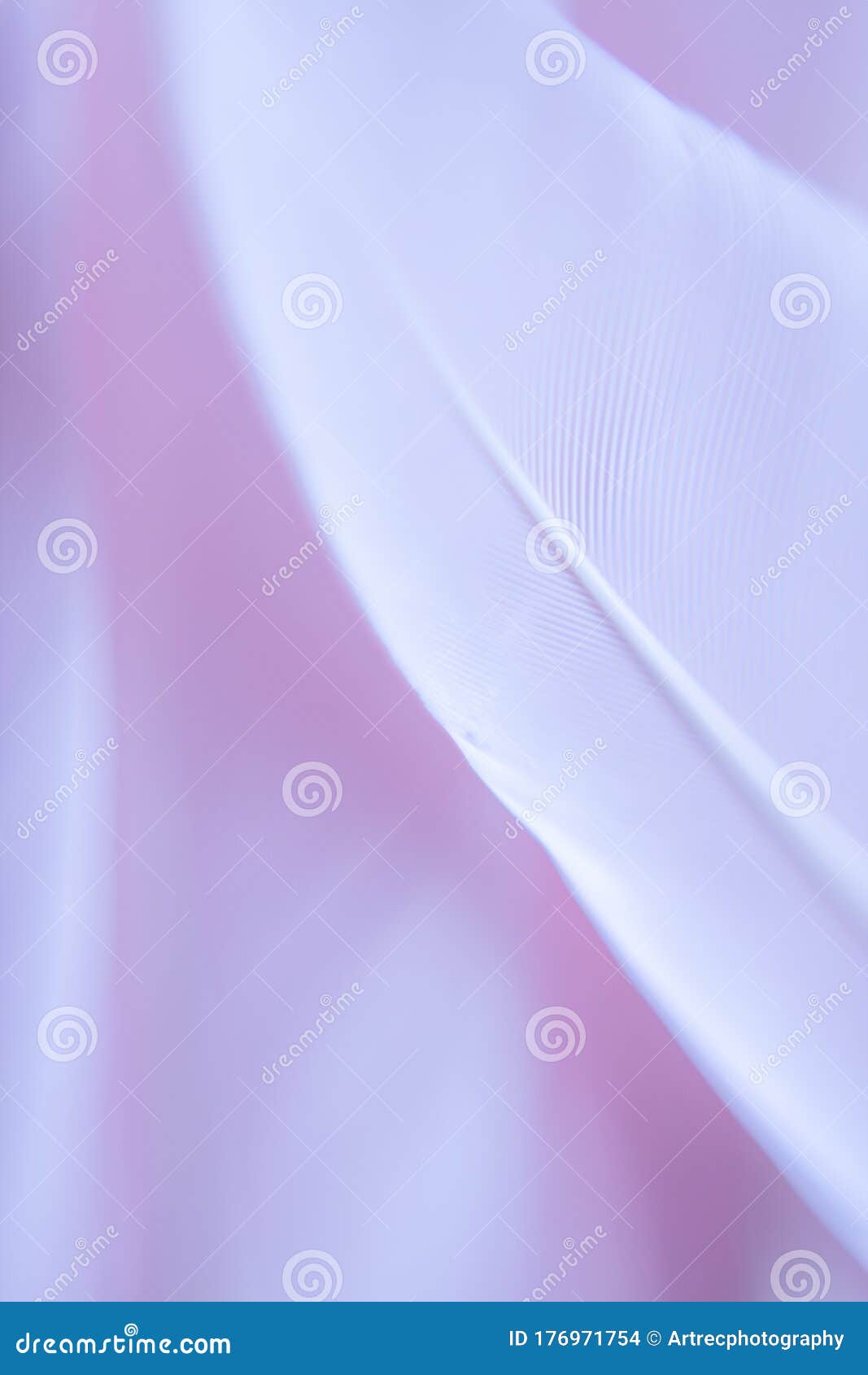 Beautiful Soft Feathers Background Texture Stock Photo - Image of ...