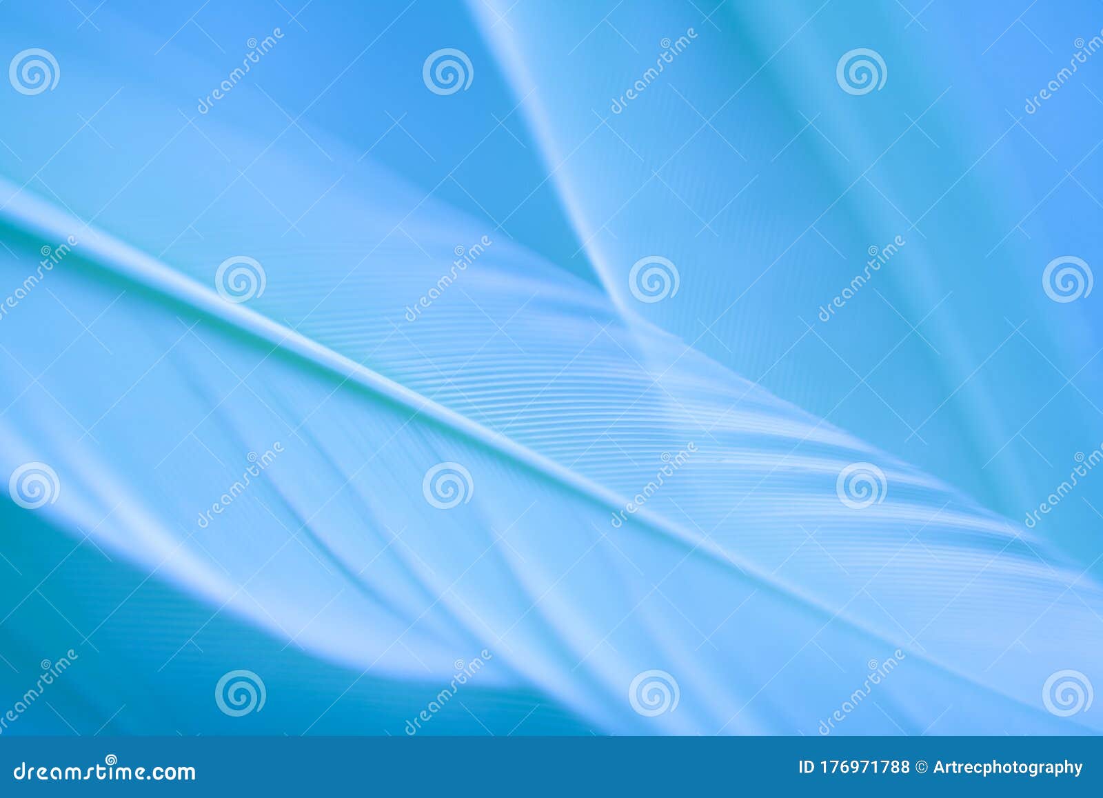 Beautiful Soft Feathers Background Texture Stock Photo - Image of ...