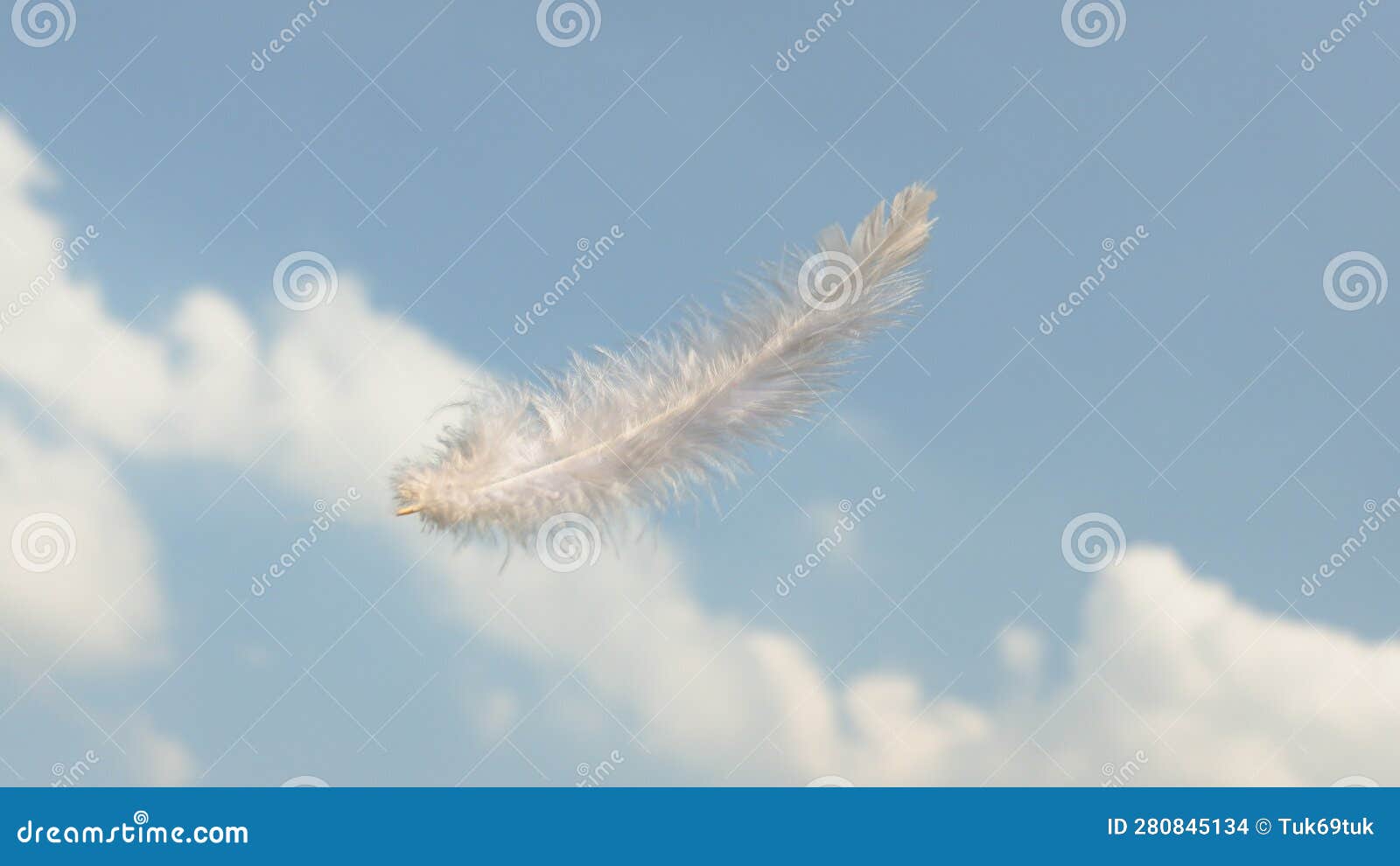 Beautiful Soft and Light White Fluffy Feathers Floating InThe Sky with ...