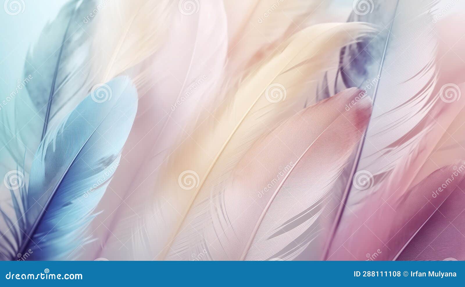 Beautiful and Soft Pastel Color Feather Background Delicate and Elegant ...