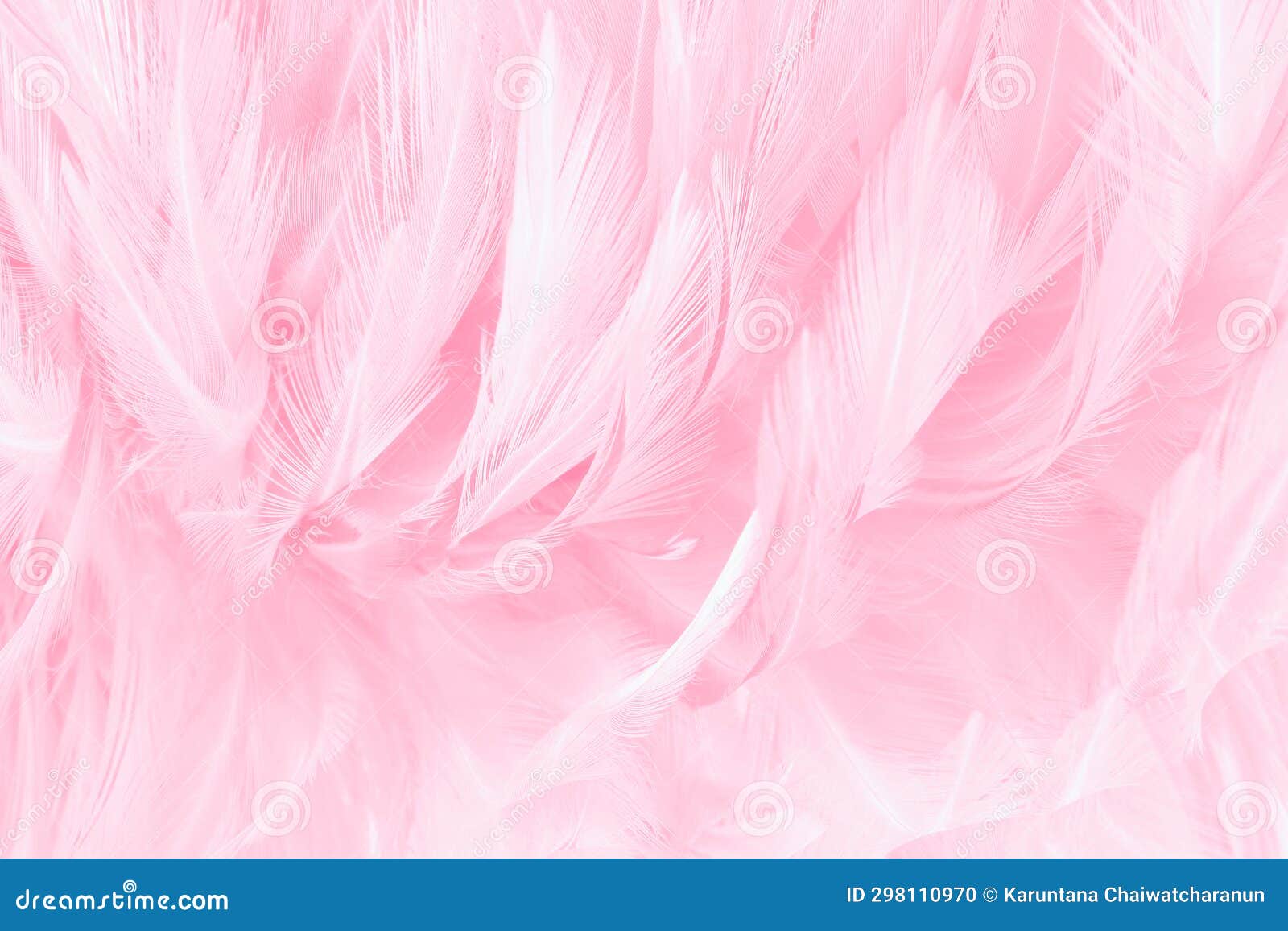 Beautiful Soft Pink Bird Feathers Pattern Texture Background Stock ...