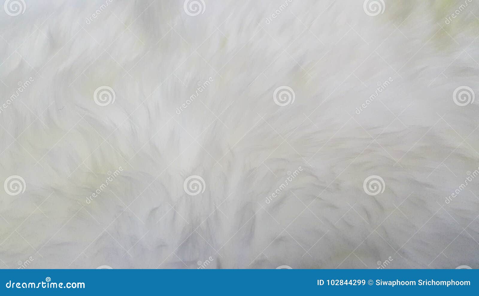 Softness of Pure White Wool Stock Image - Image of colorful, linen ...