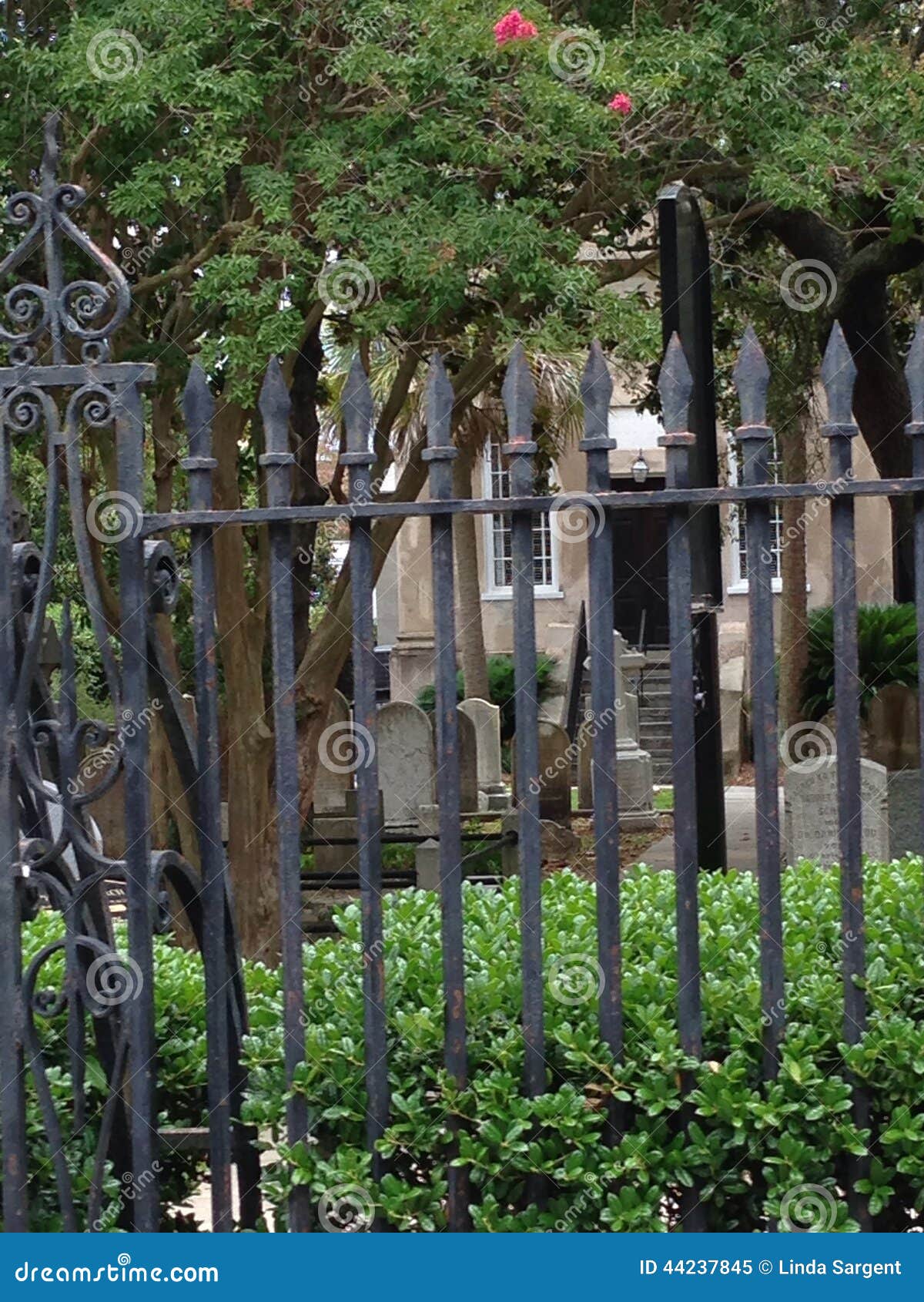Beautiful Somber Quiet Cemetery Surrounding Stock Image - Image of ...