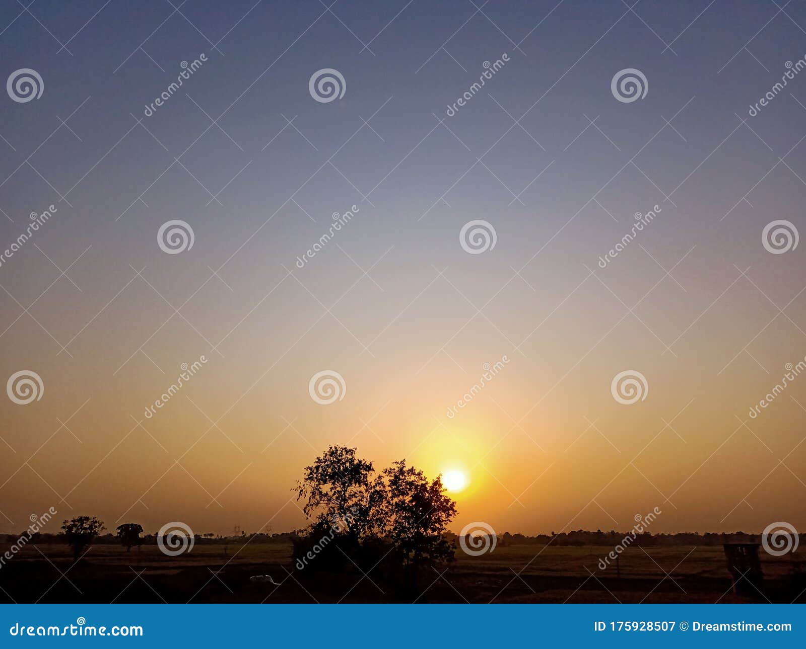 Beautiful Son Light, Evening Time Stock Image - Image of friendships ...