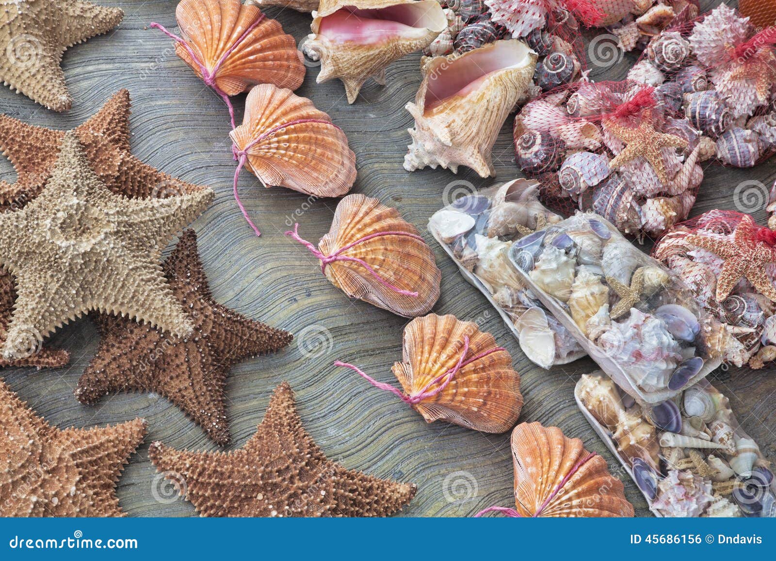 Beautiful Souvenir Seashells for Sell in Cancun Mexico Stock Photo ...